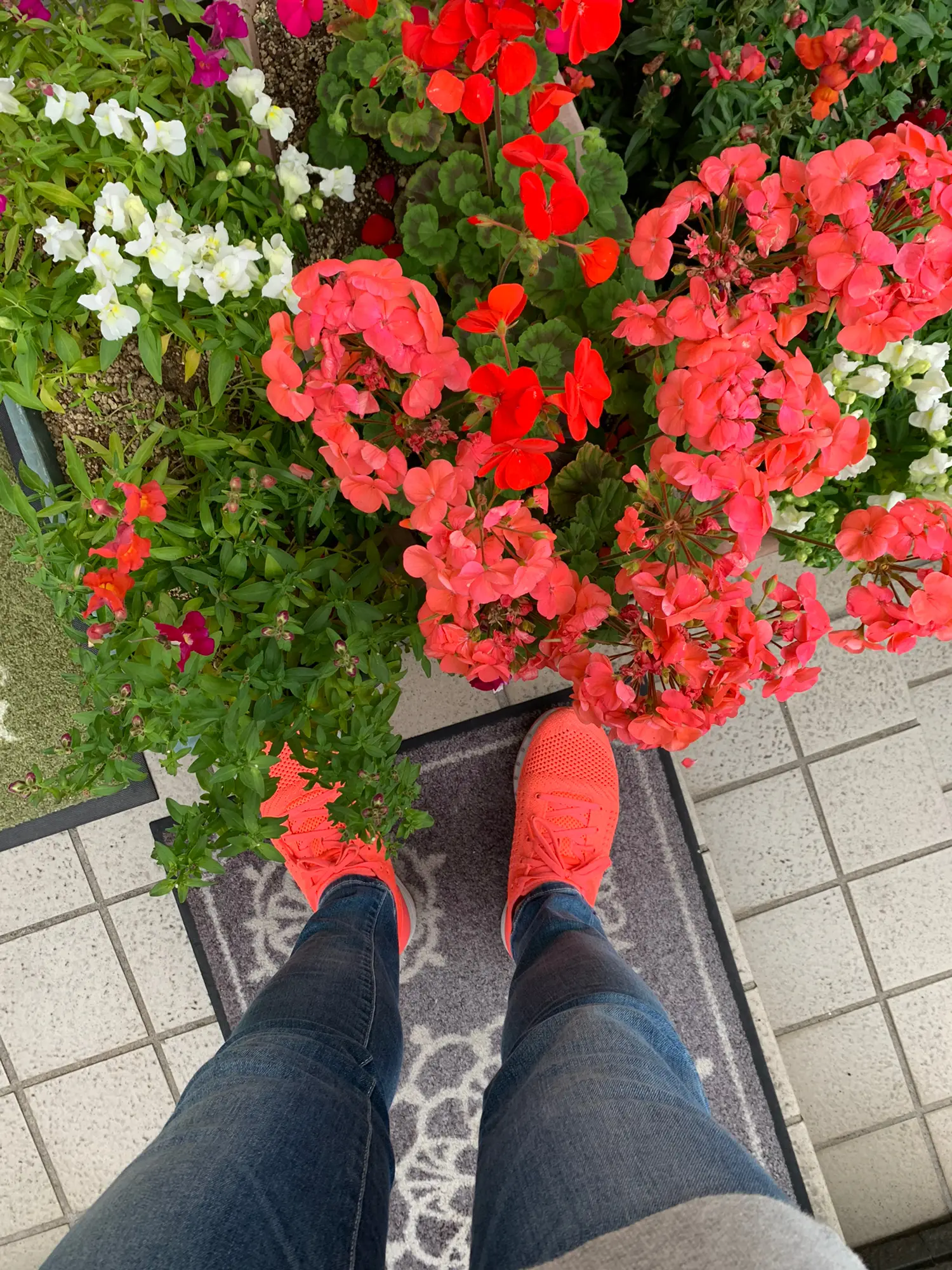 รองเท้าวิ่งสีส้มนีออน ️ที่ฉันชอบ ️ | แกลเลอรีที่โพสต์โดย happy_haru | Lemon8