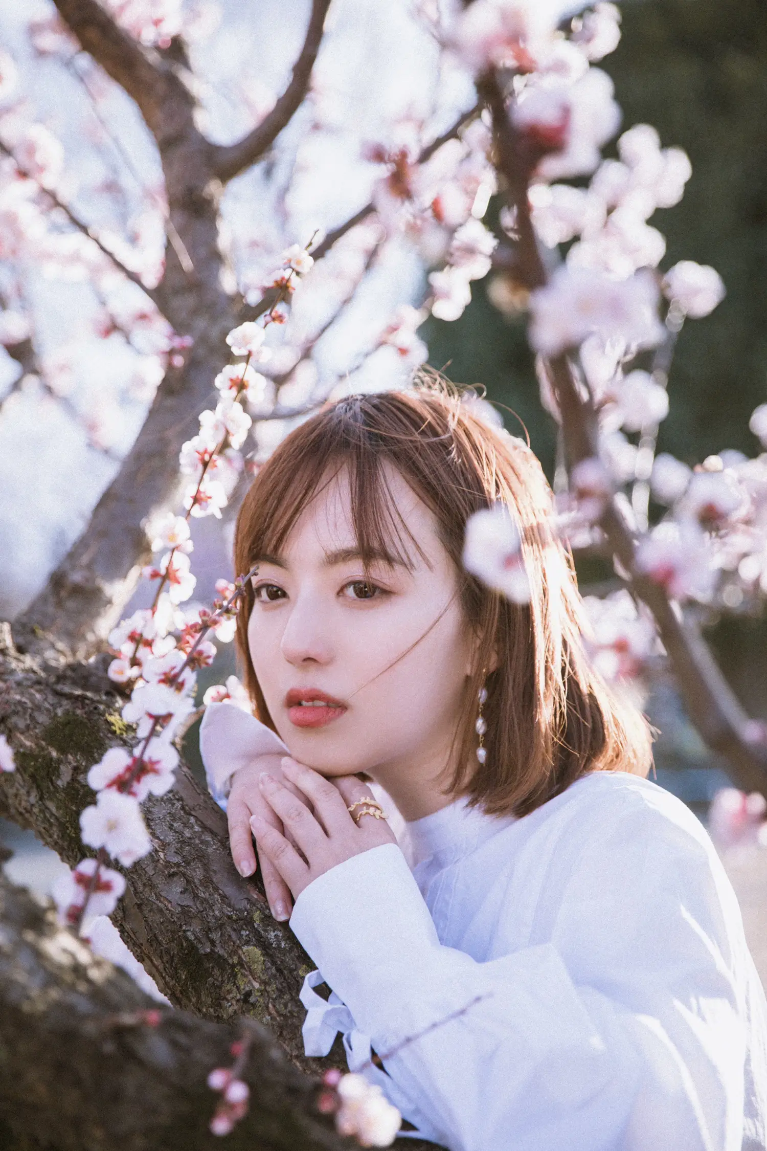 พลัมที่กรมอุทยานฯ | แกลเลอรีที่โพสต์โดย Iceyアイシー | Lemon8