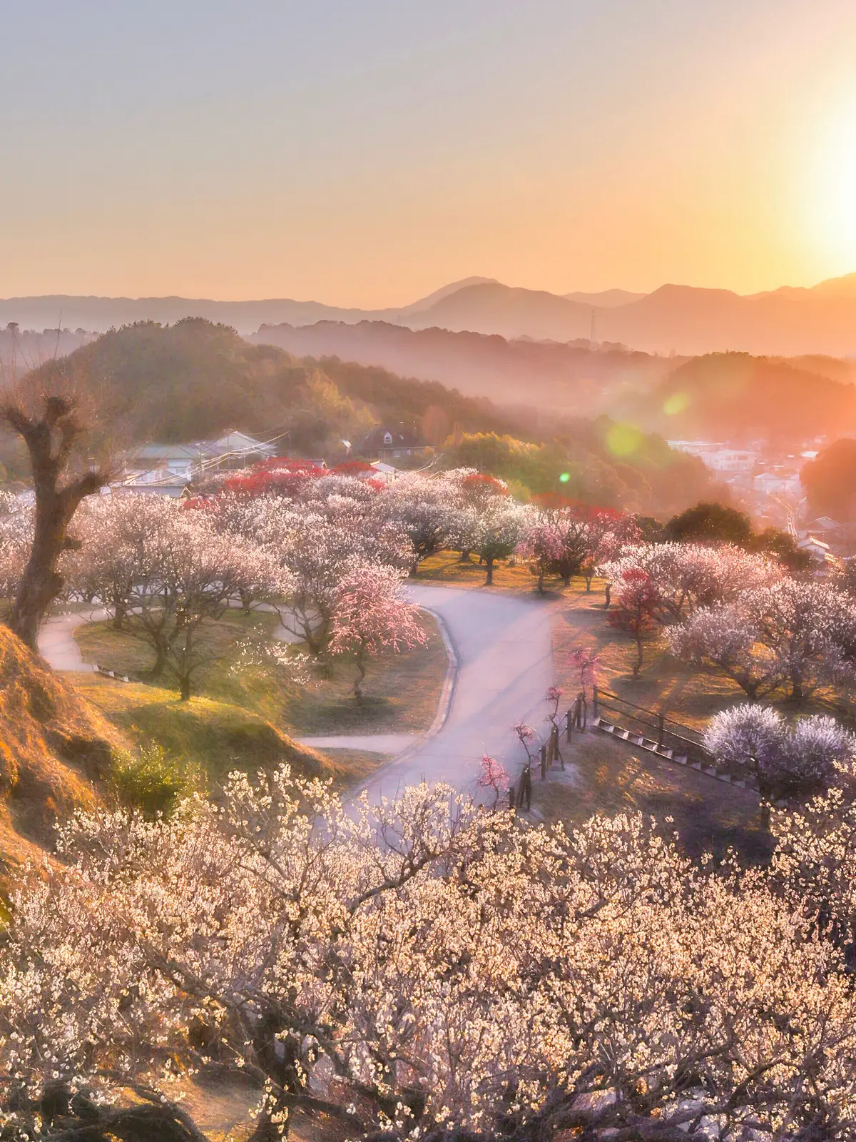 オススメスポット | 𝐀𝐤𝐢が投稿したフォトブック | Lemon8