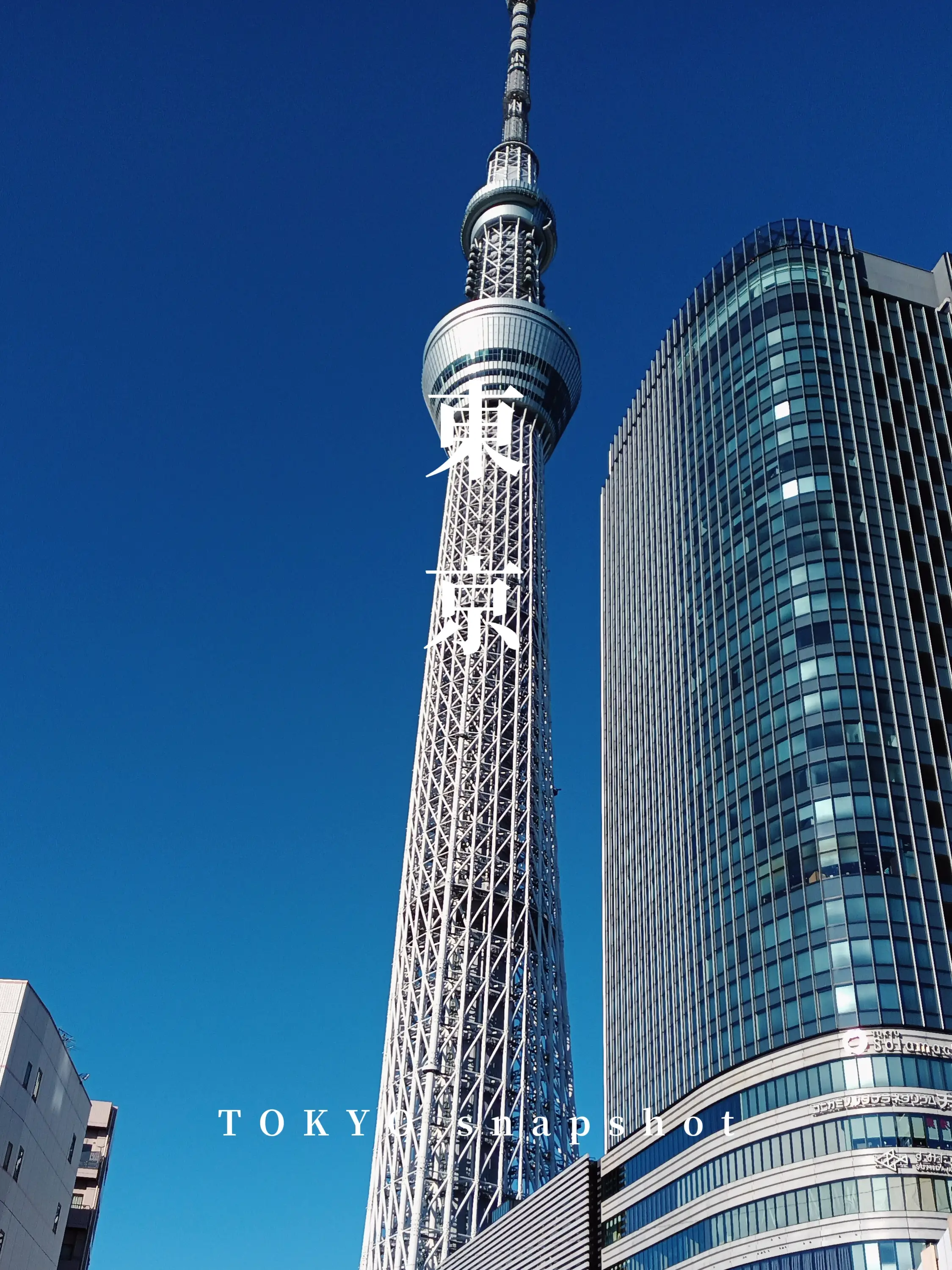 TOKYO snapshot 03 | PhotoPlusが投稿したフォトブック | Lemon8