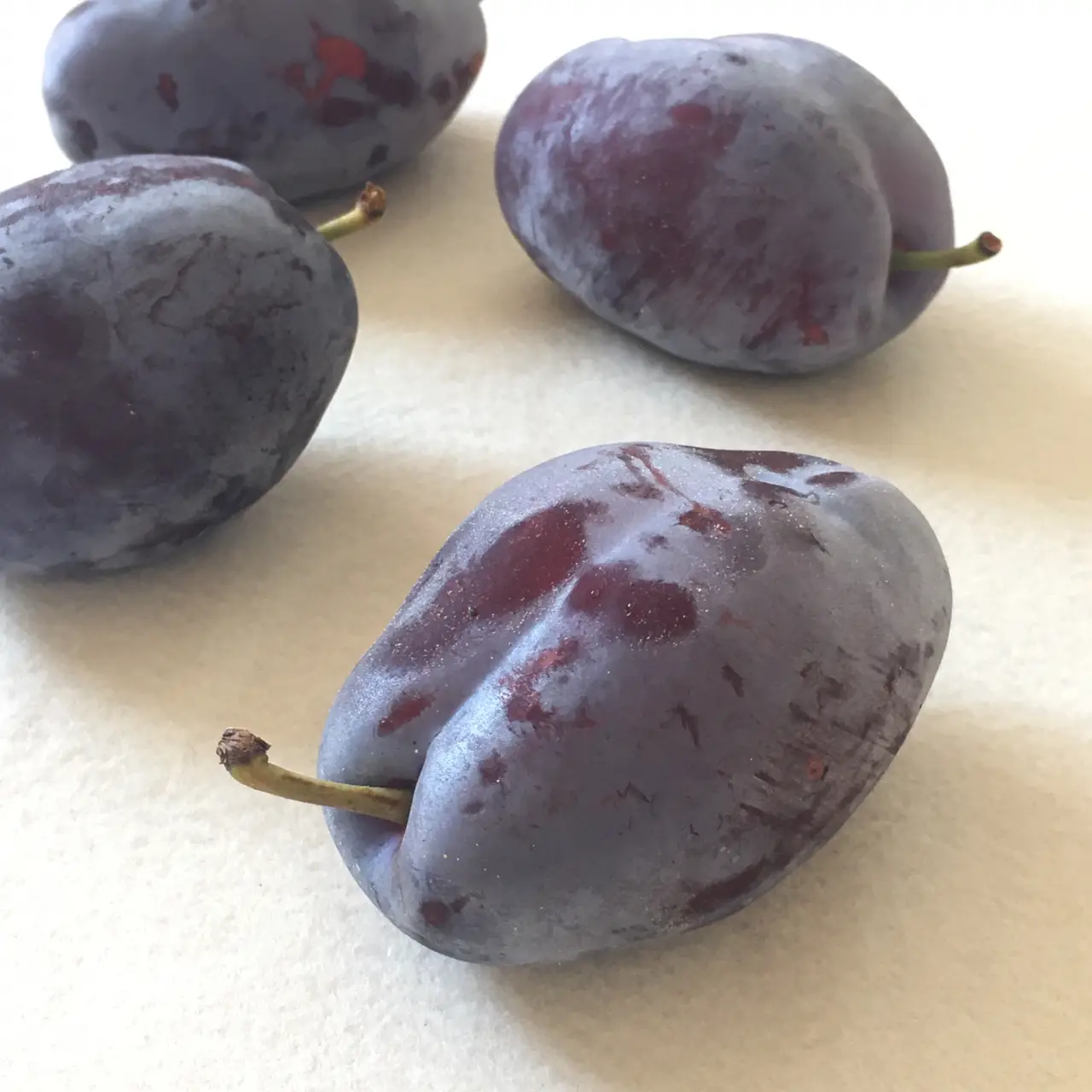 Raw prunes in season. | Gallery posted by トウコ | Lemon8