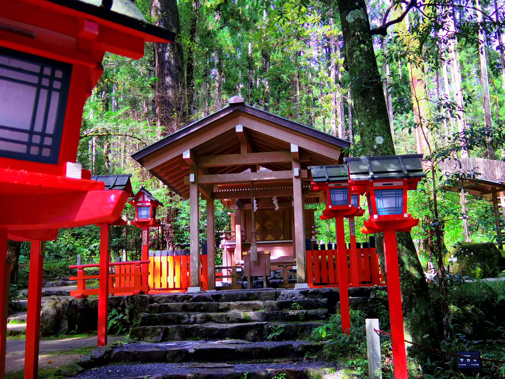 【เกียวโต】ศาลเจ้า Kifune มีชื่อเสียงในฐานะจุดพลังงานตั้งแต่สมัยโบราณ⛩ | แกลเลอรีที่โพสต์โดย aynaa ...