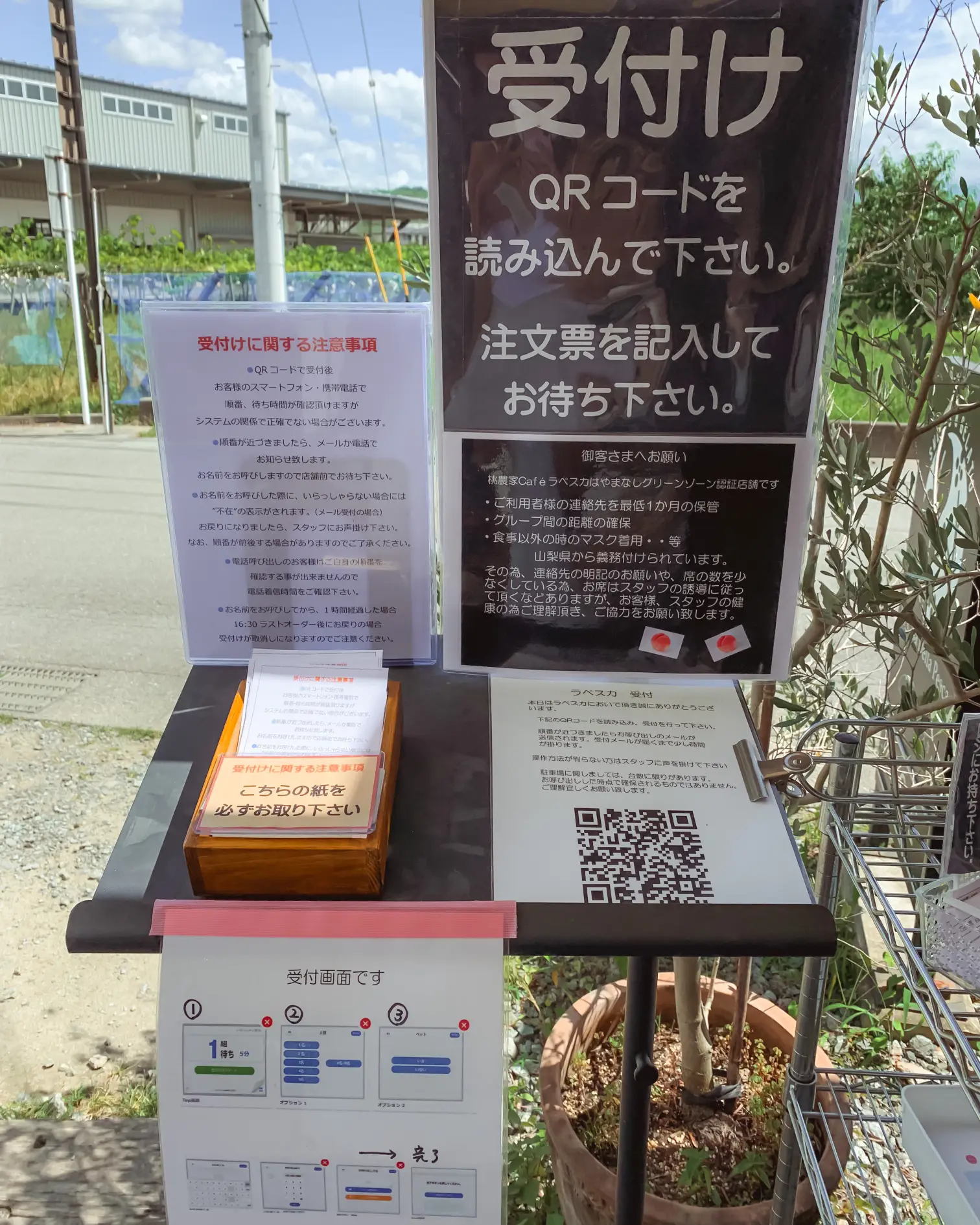 【山梨】期間限定！桃を丸ごと使った贅沢パフェをこの夏見逃すな！🍑 | KANON🌼が投稿したフォトブック | Lemon8