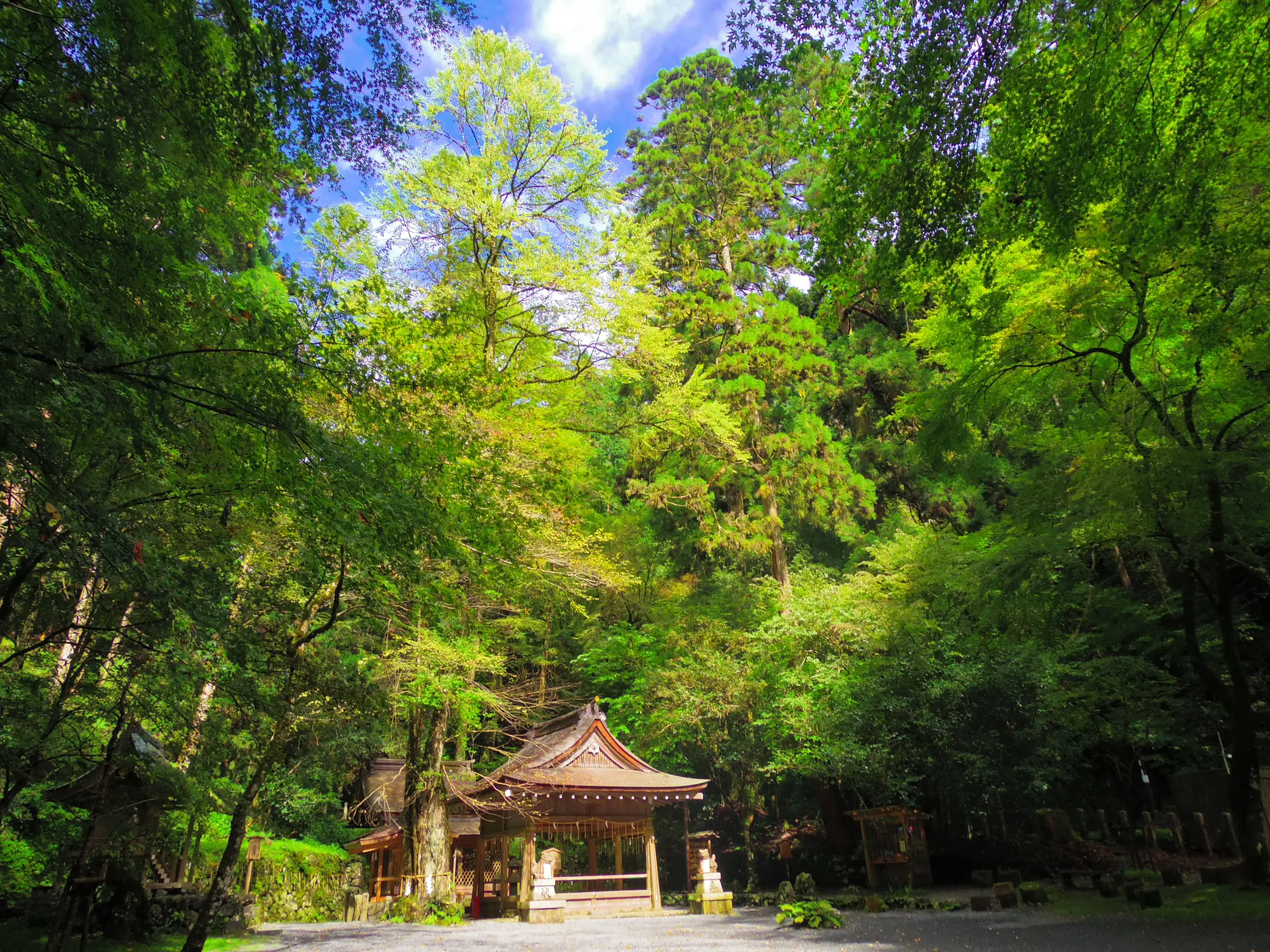 【เกียวโต】ศาลเจ้า Kifune มีชื่อเสียงในฐานะจุดพลังงานตั้งแต่สมัยโบราณ⛩ | แกลเลอรีที่โพสต์โดย aynaa ...