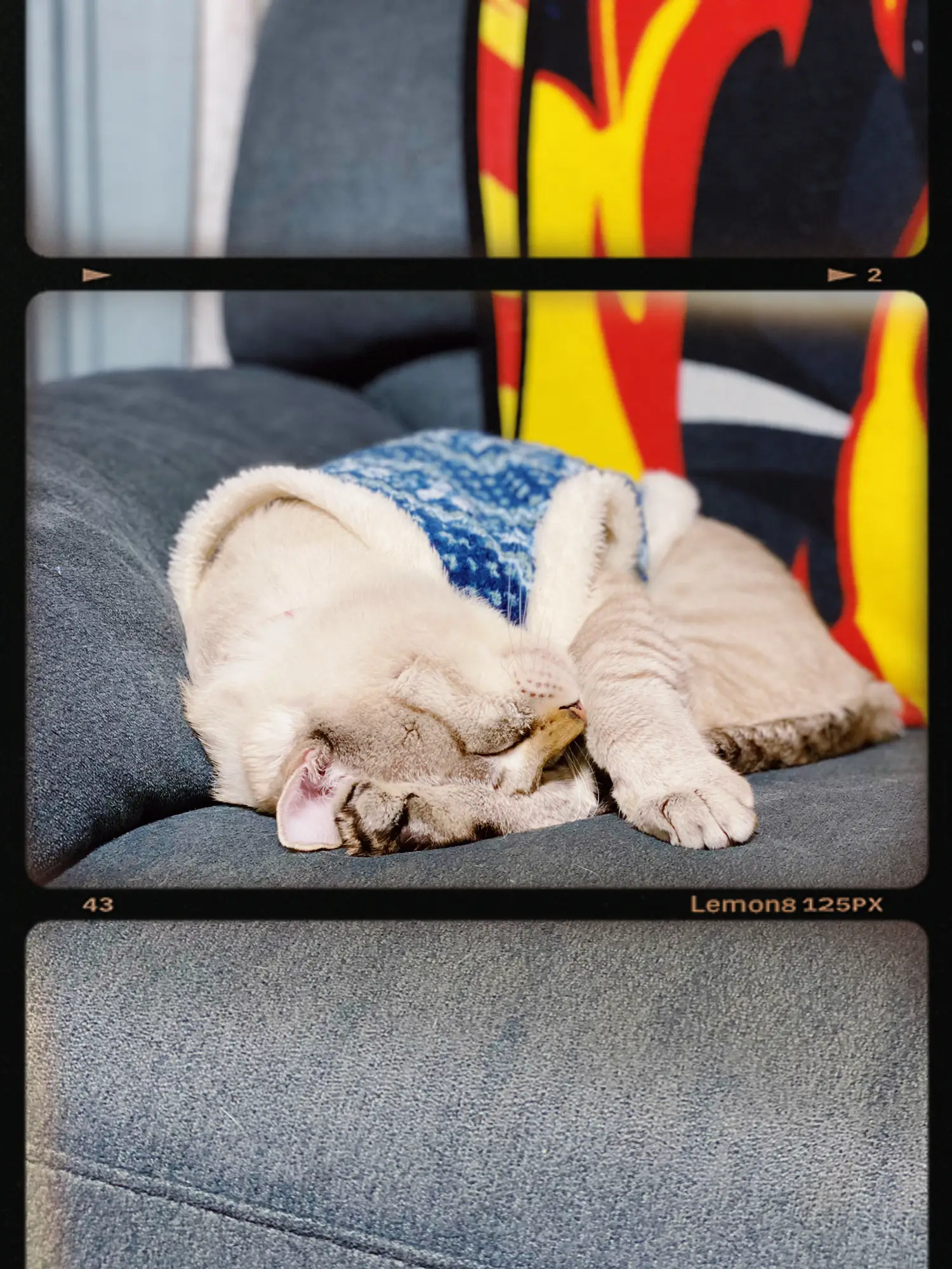 It's gotten really cold😆 | Gallery posted by ゆんちょー | Lemon8