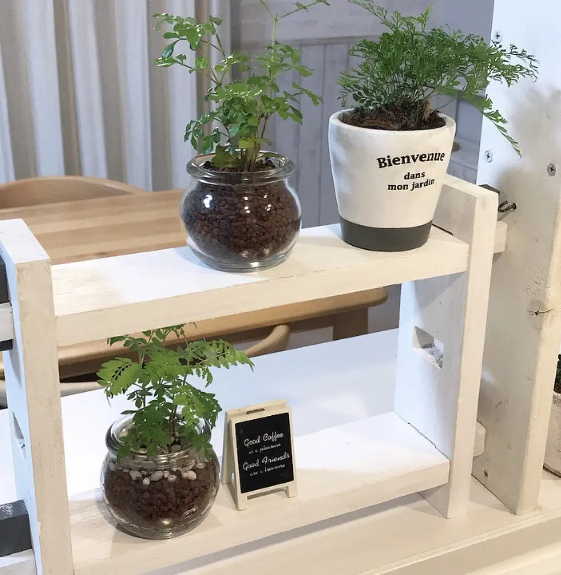 ชุดชั้นวางหญ้าทำง่าย | แกลเลอรีที่โพสต์โดย lelien_tomo | Lemon8