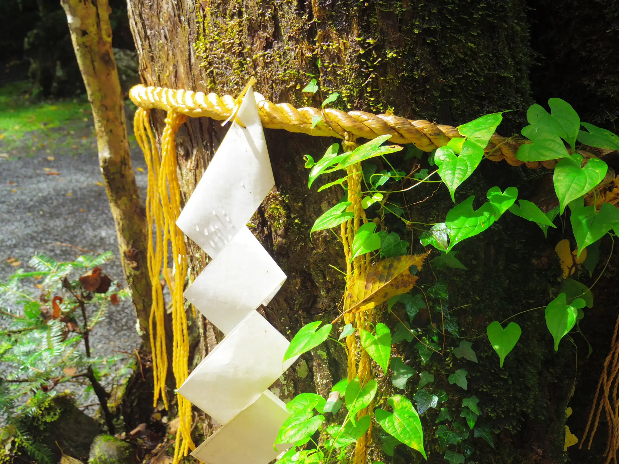 【เกียวโต】ศาลเจ้า Kifune มีชื่อเสียงในฐานะจุดพลังงานตั้งแต่สมัยโบราณ⛩ | แกลเลอรีที่โพสต์โดย aynaa ...