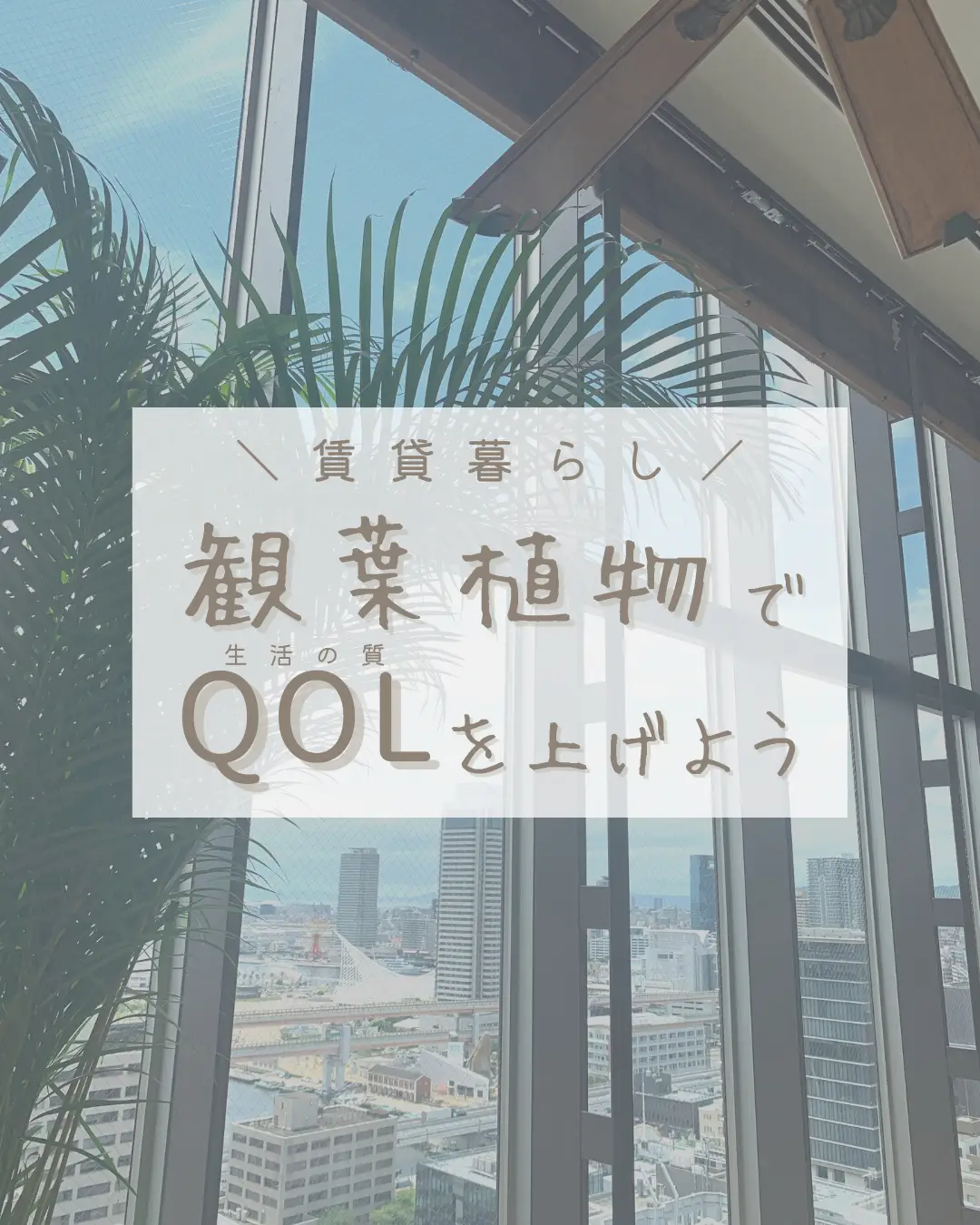 【観葉植物でQOLを上げよう】 | ai_lifestyleが投稿したフォトブック | Lemon8