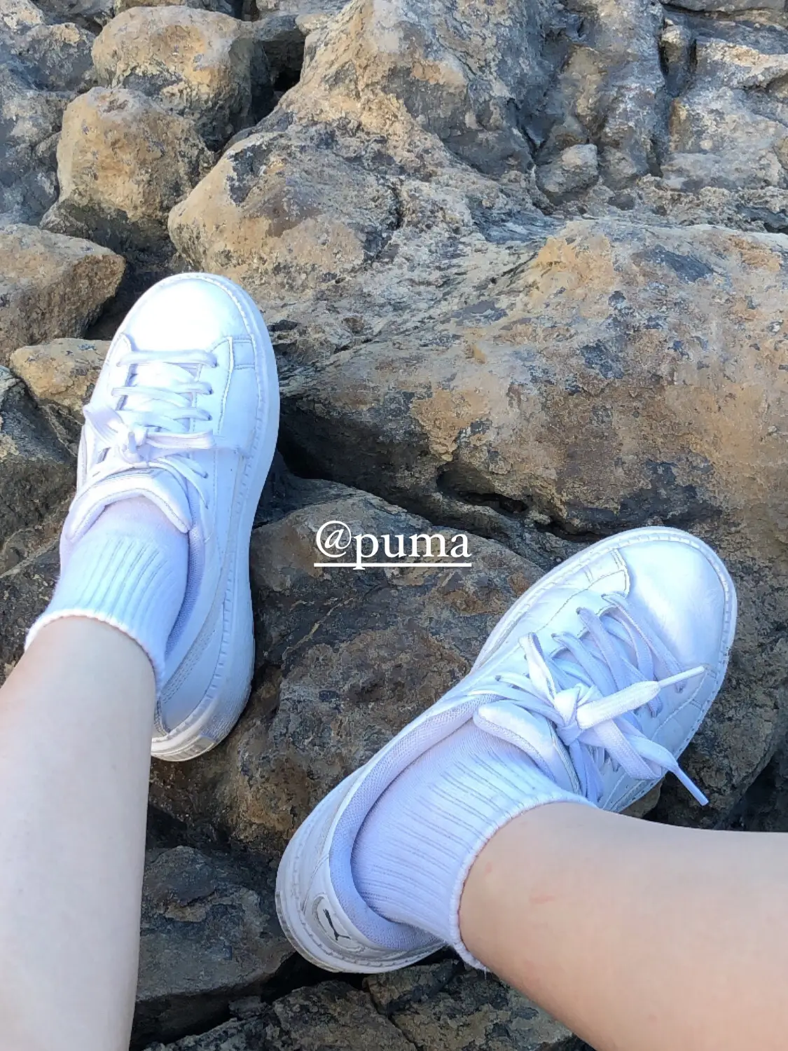 puma | nagisa_yamが投稿したフォトブック | Lemon8