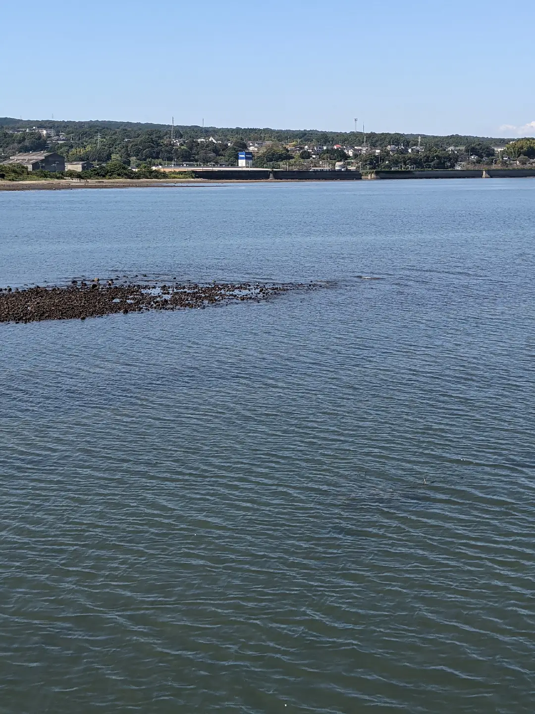 The Sea and the Stadium | Gallery posted by ヤマモトかめ | Lemon8