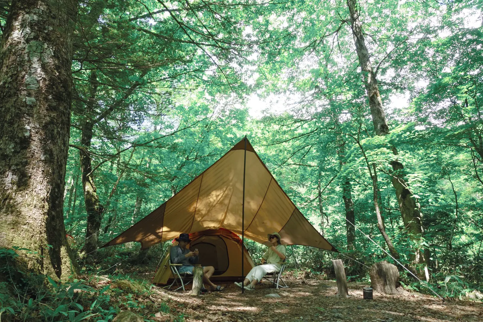 [กิฟุแนะนำ] หายดีในป่า ~ ที่ตั้งแคมป์ฮิรายู ~ | แกลเลอรีที่โพสต์โดย gnu__camp | Lemon8