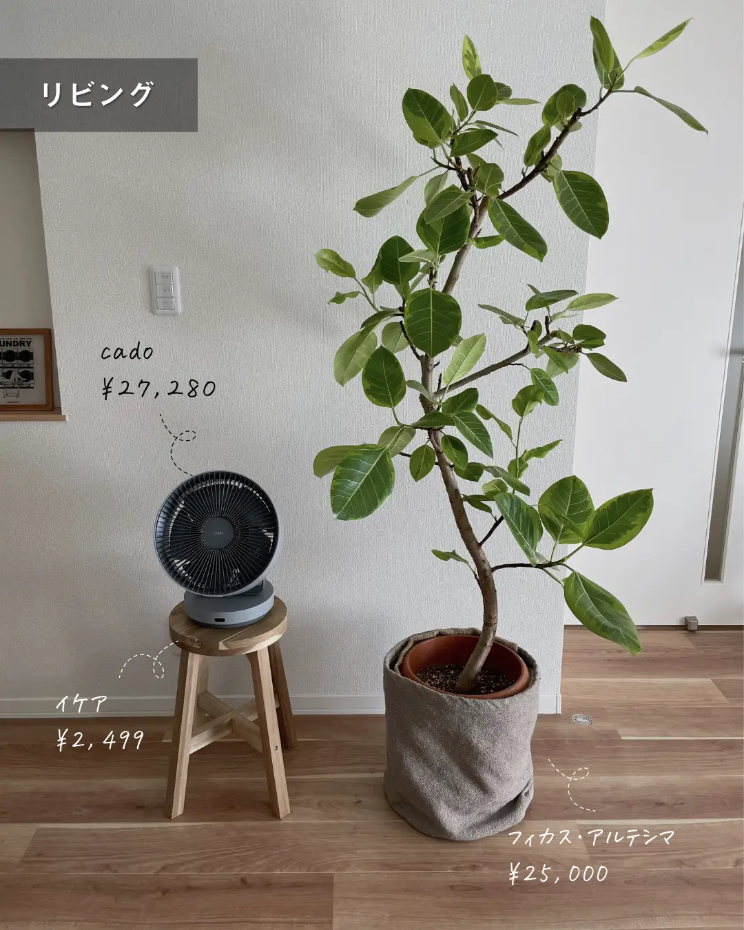 Cohabitation couple 2LDK room tour | Gallery posted by ノジ@ふたり暮らし | Lemon8