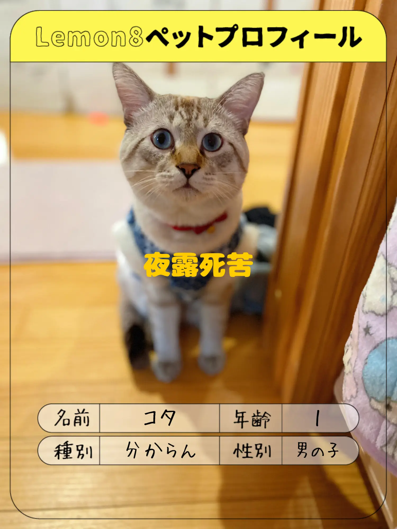 It's gotten really cold😆 | Gallery posted by ゆんちょー | Lemon8