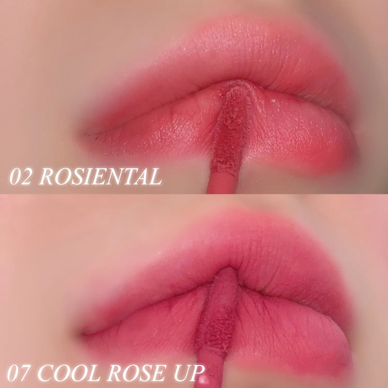 Rom และงานใหม่ ⭐ โทนสีปุย☁️ | แกลเลอรีที่โพสต์โดย 蘭奈_lana | Lemon8