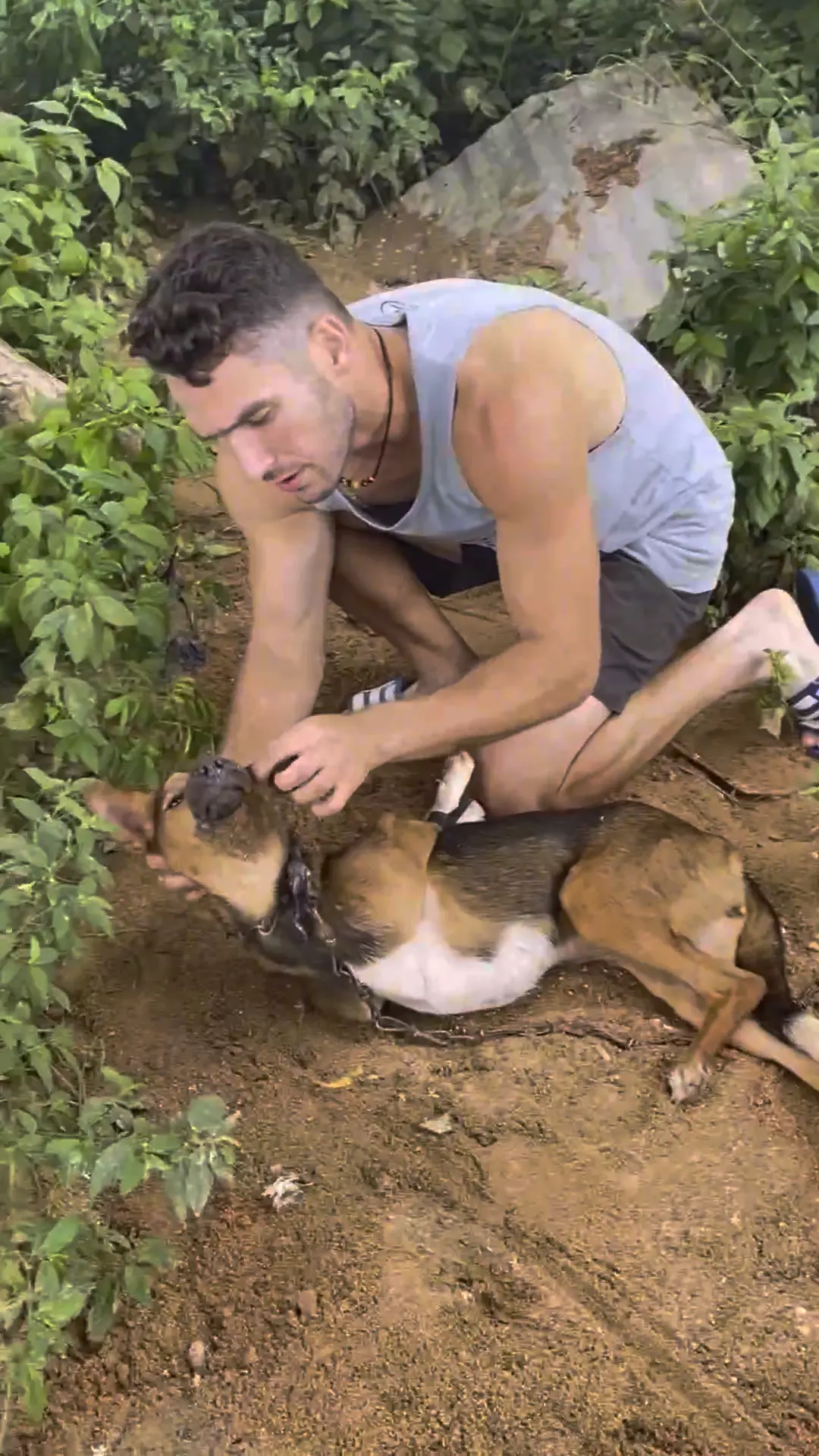 DOG SAVIOR DOG MEAT SURVIVOR CAUGHT ON CAMERA FYP | Video published by DOG SAVIOR | Lemon8