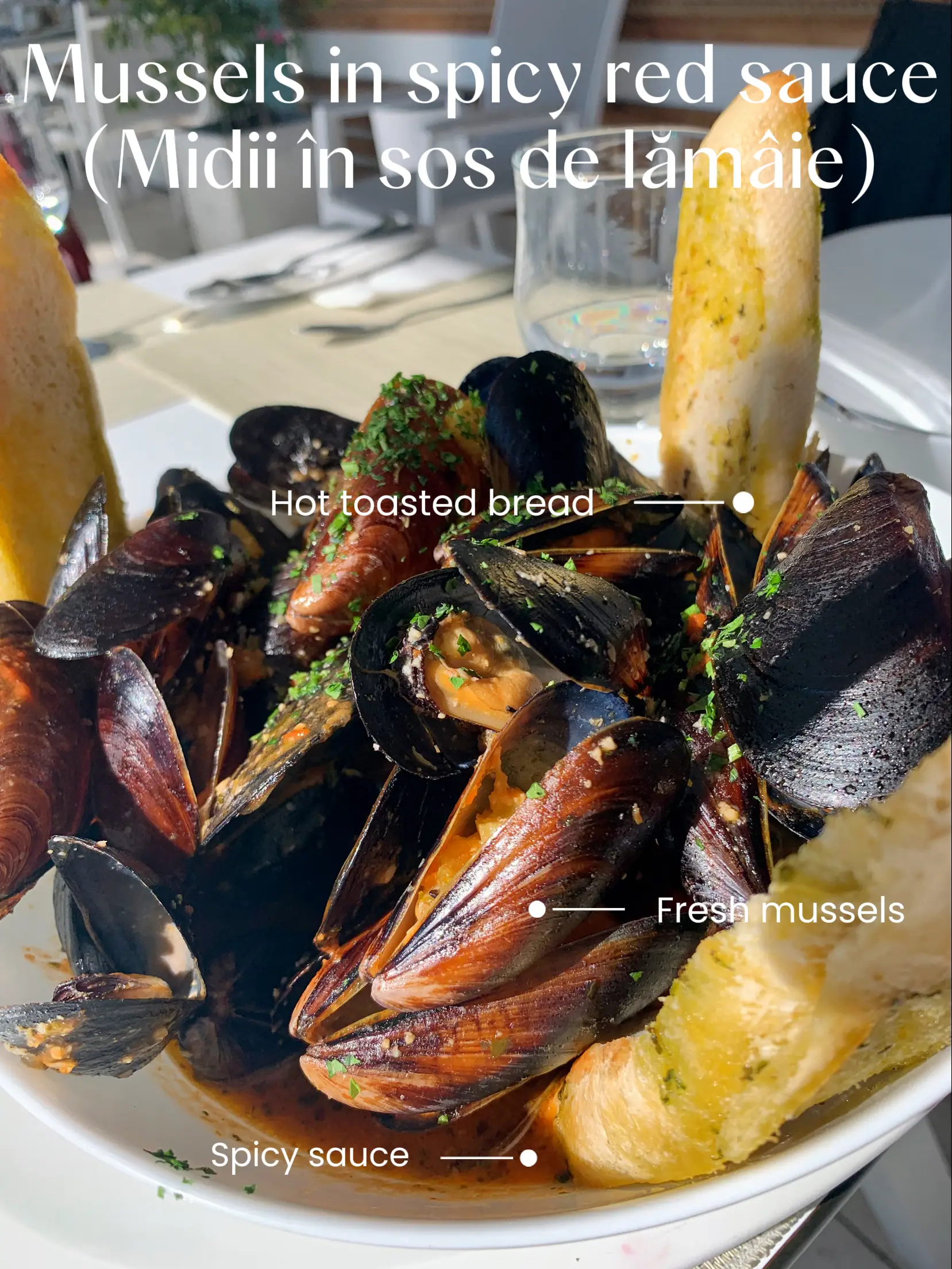 Dinner by the Black Sea 🌊 | Gallery posted by Kaylee | Lemon8