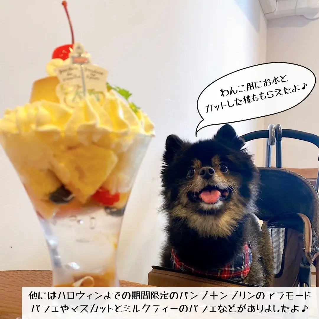Parfait Druel 】 A parfait shop in Osu | Gallery posted by 東海わんこスポット ...