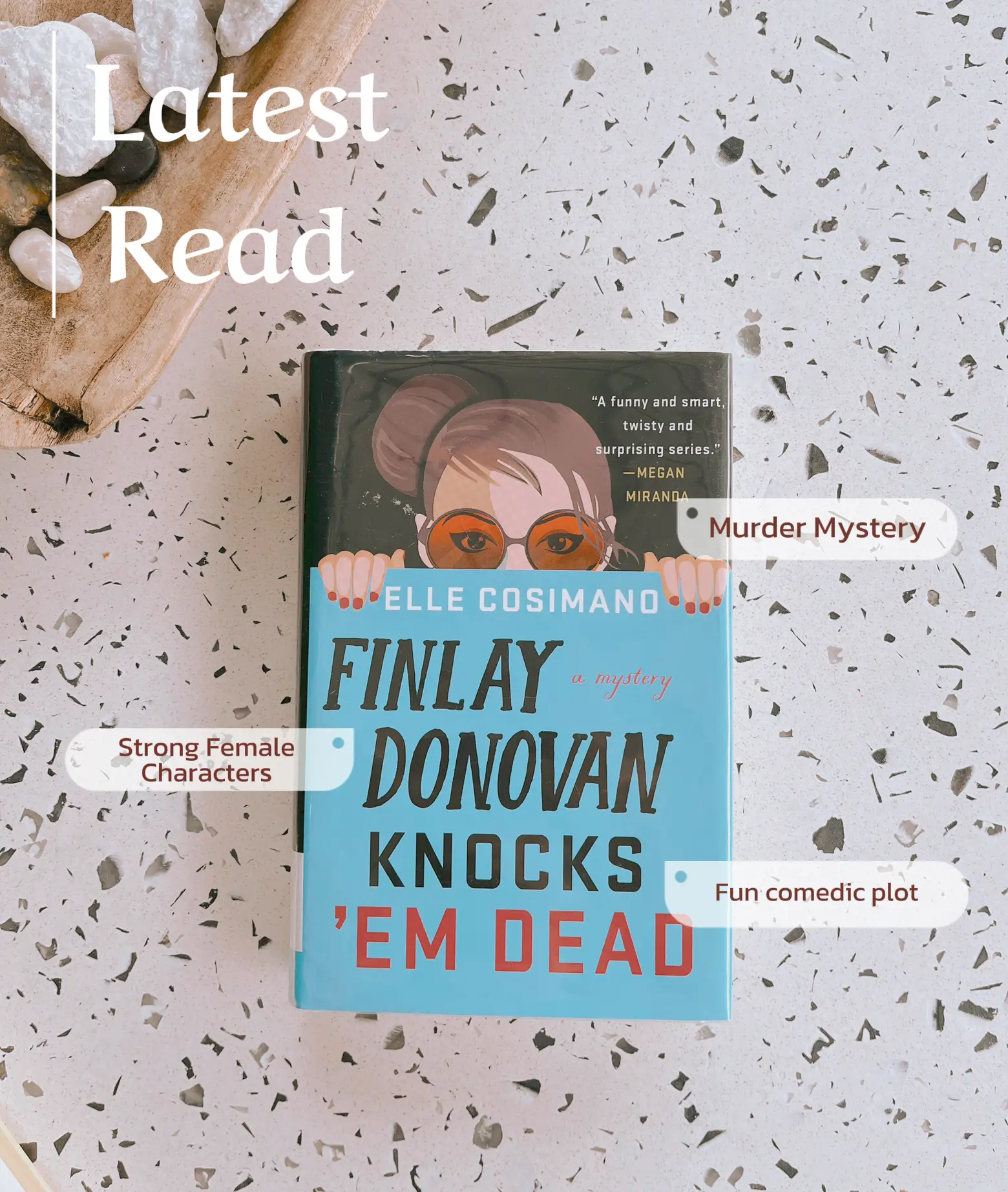 Book Rec: Finlay Donovan Knocks ‘Em Dead 📖 | Galeri disiarkan oleh Des ...
