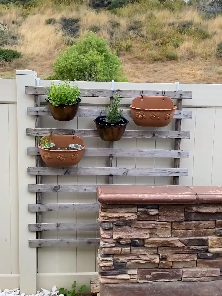 DIY Hanging Herb Garden🪴 | Video published by Paris💘 | Lemon8