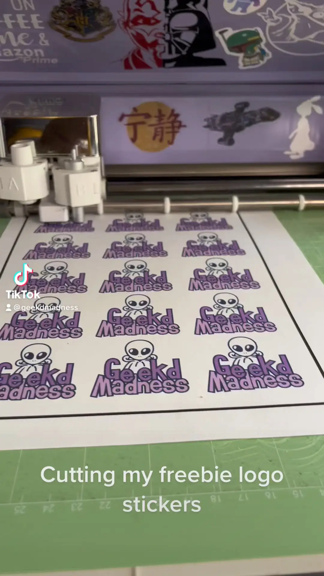 Who doesn’t like free stickers? | Video published by Eva | Lemon8