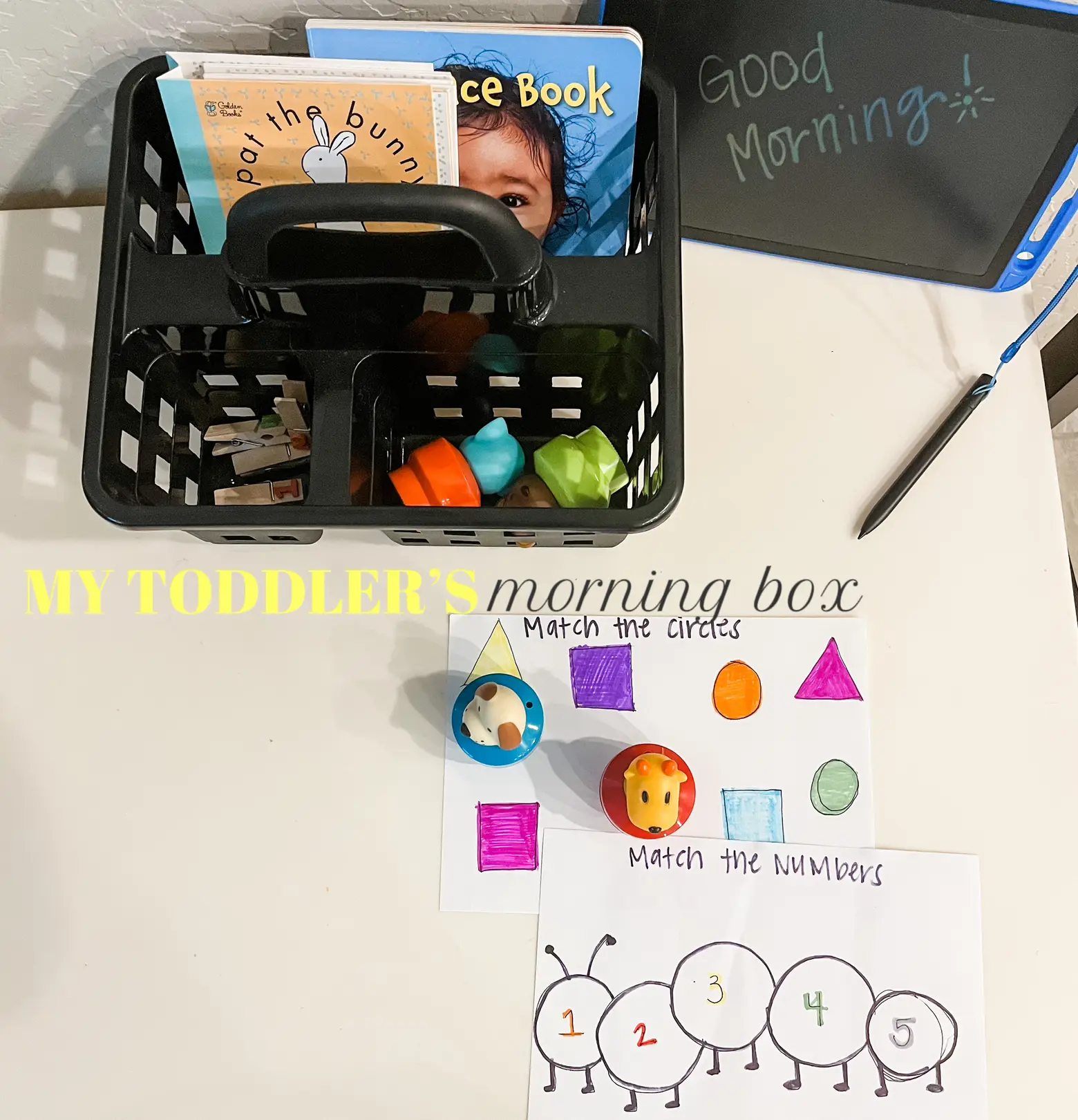 My toddler’s morning box ☀️ | Gallery posted by Kiley Sardella | Lemon8