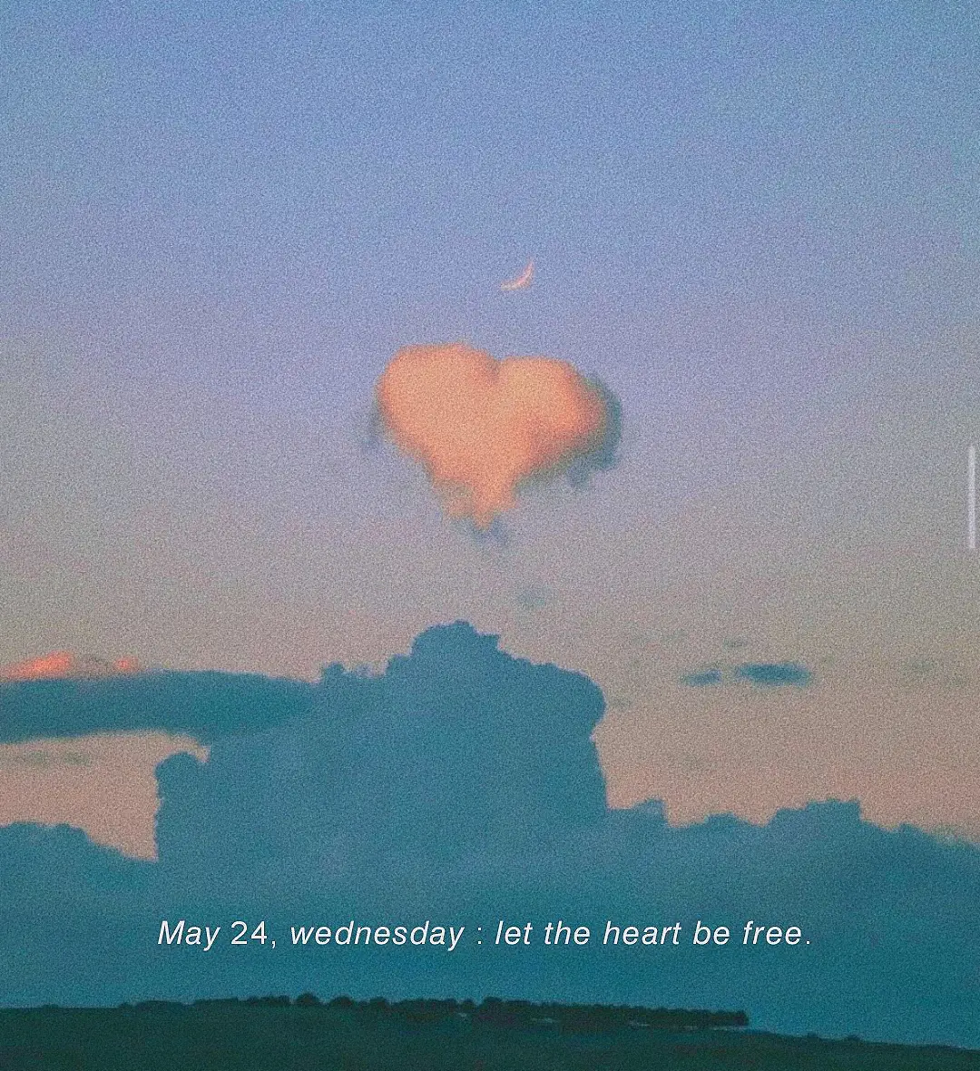 may 24, 2023 | Gallery posted by ☆ ali ☆ | Lemon8