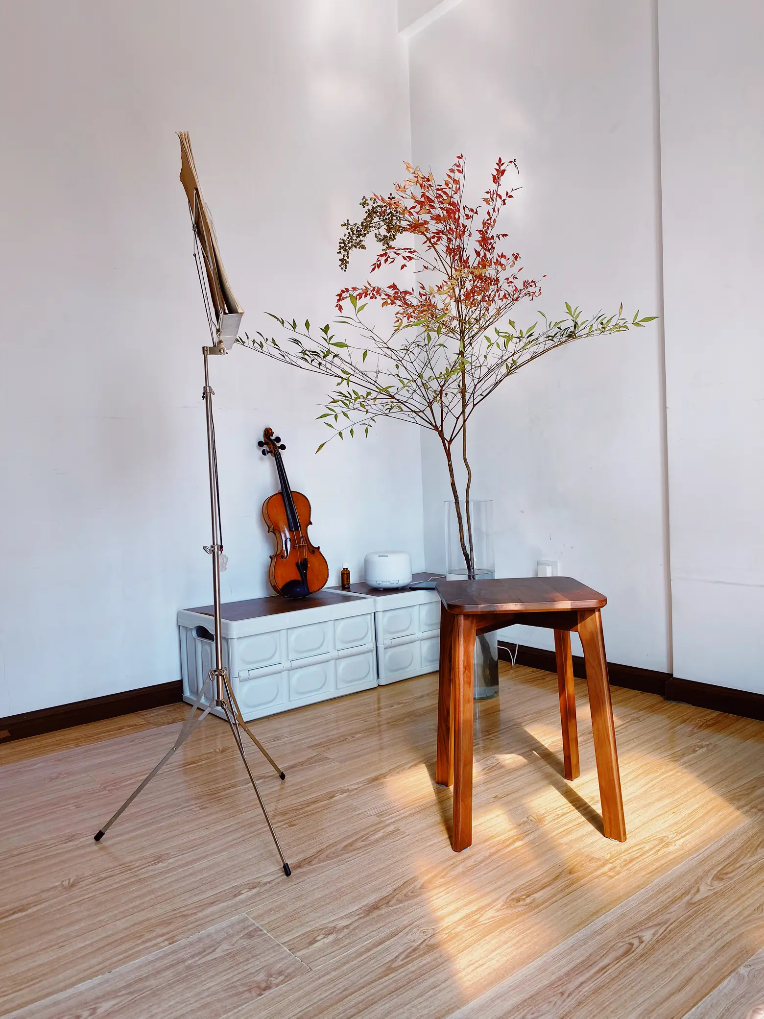 Hello lemon8 | Restart my journey in this app | Gallery posted by EmmaInEmmaBrain | Lemon8