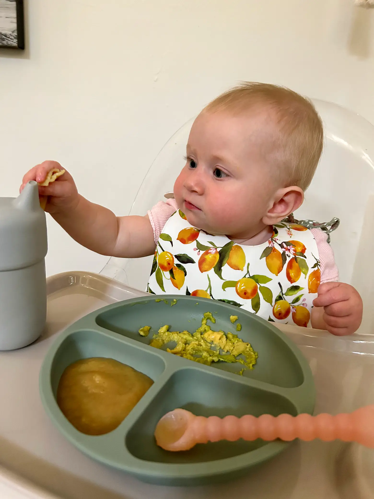 Feeding babies | Gallery posted by sarahgaccione | Lemon8