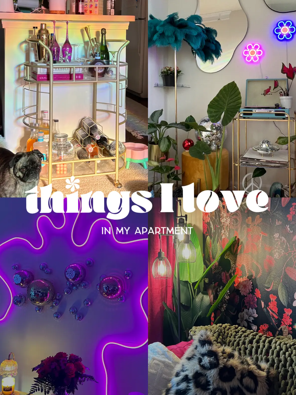 things I love in my apartment | Gallery posted by sydney del rey | Lemon8