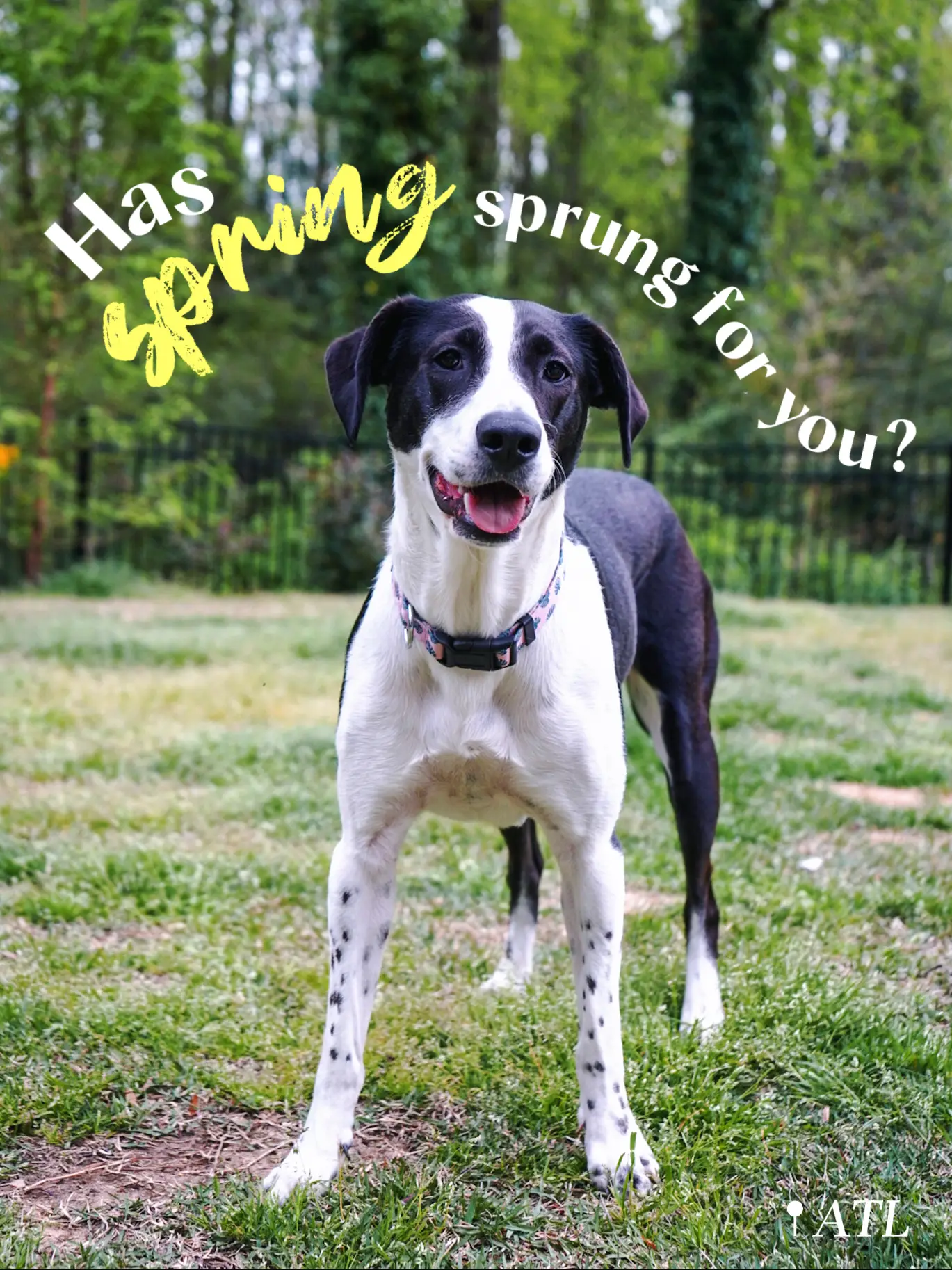 One thing I love about living | Gallery posted by Mik • Bro • Lu | Lemon8