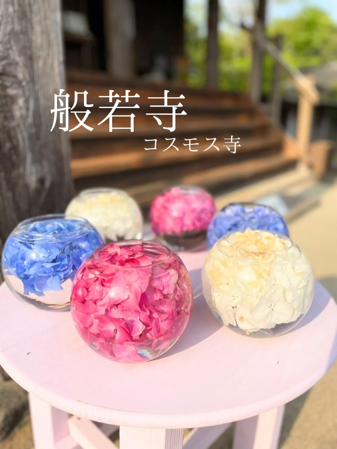 ไฮเดรนเยียในแก้วระยิบระยับ วัดฮันยาจิของ Hana💕 | แกลเลอรีที่โพสต์โดย tink🧚🏻‍♀️ | Lemon8