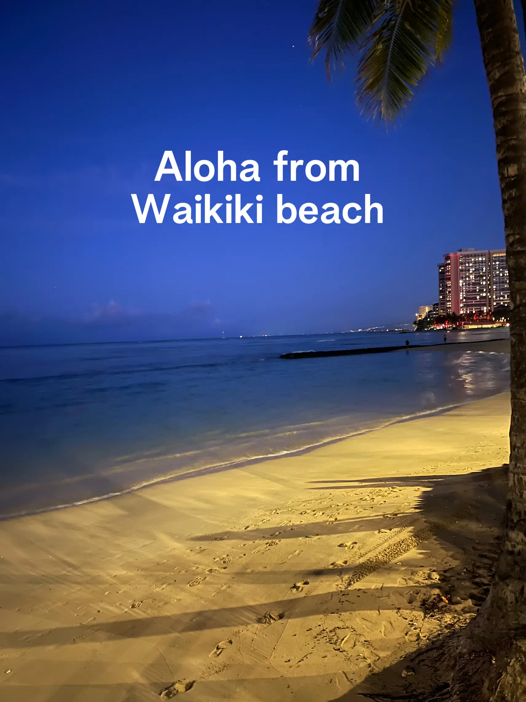 Aloha from Waikiki beach | Gallery posted by Mitchkq 🤙 | Lemon8