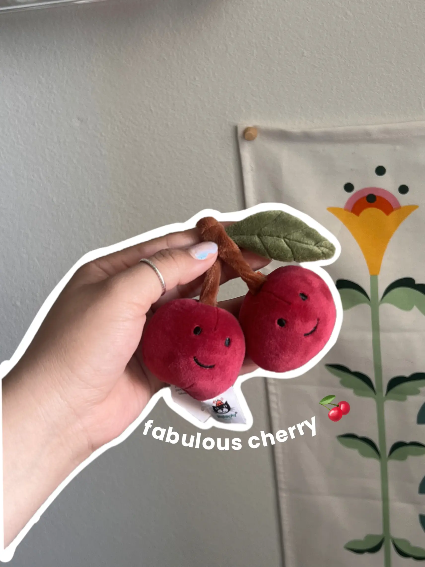 meet my jellycat collection 🍒🌼🌷💕 | Gallery posted by berry_nicee | Lemon8