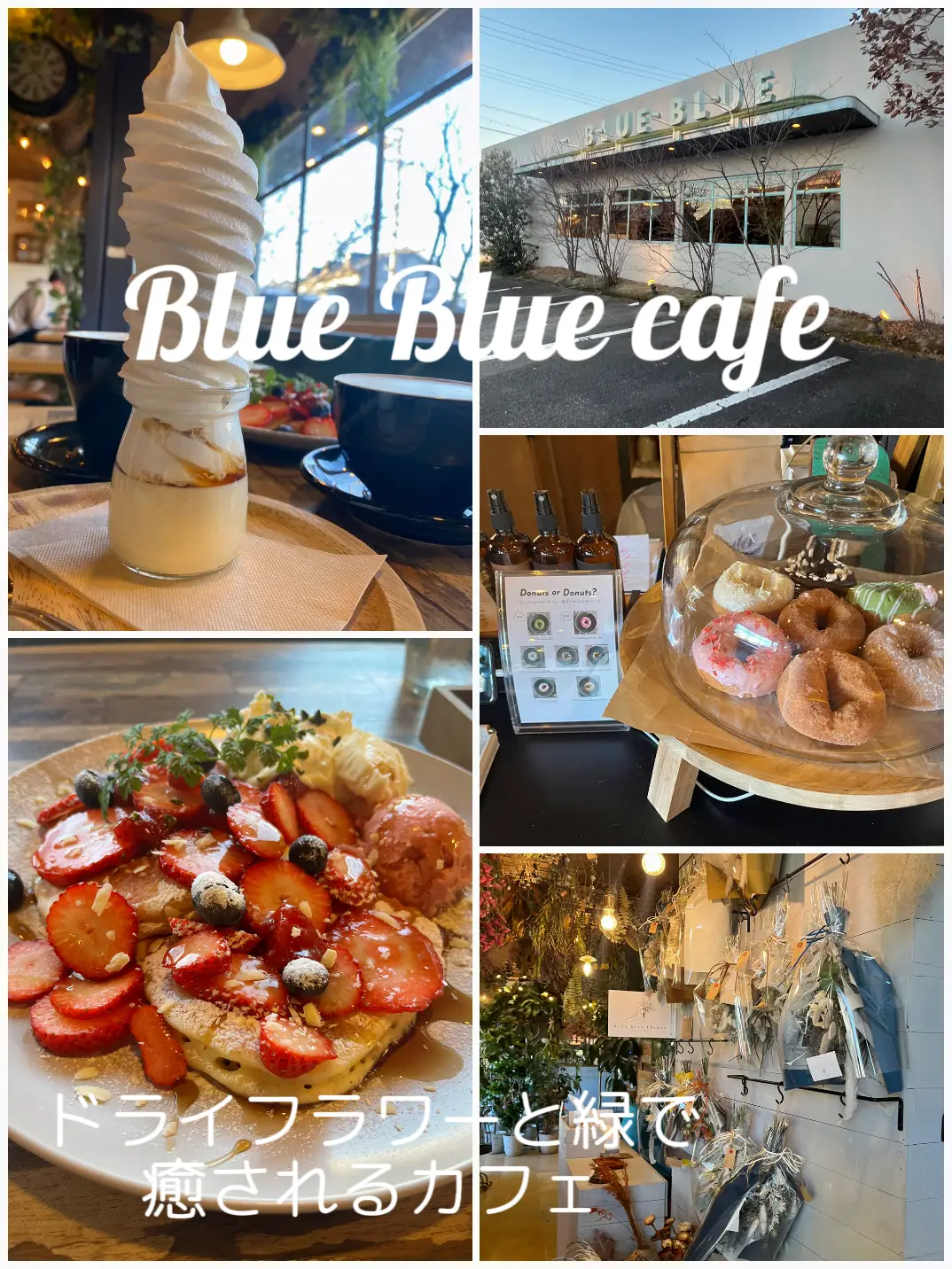 Aichi Okazaki Blue Blue cafe | แกลเลอรีที่โพสต์โดย すもう | Lemon8