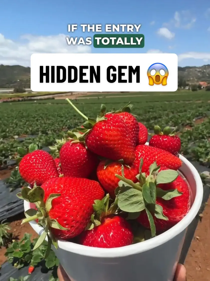 🍓 Literally RUN not walk there… | Video published by TwoSolesAbroad | Lemon8