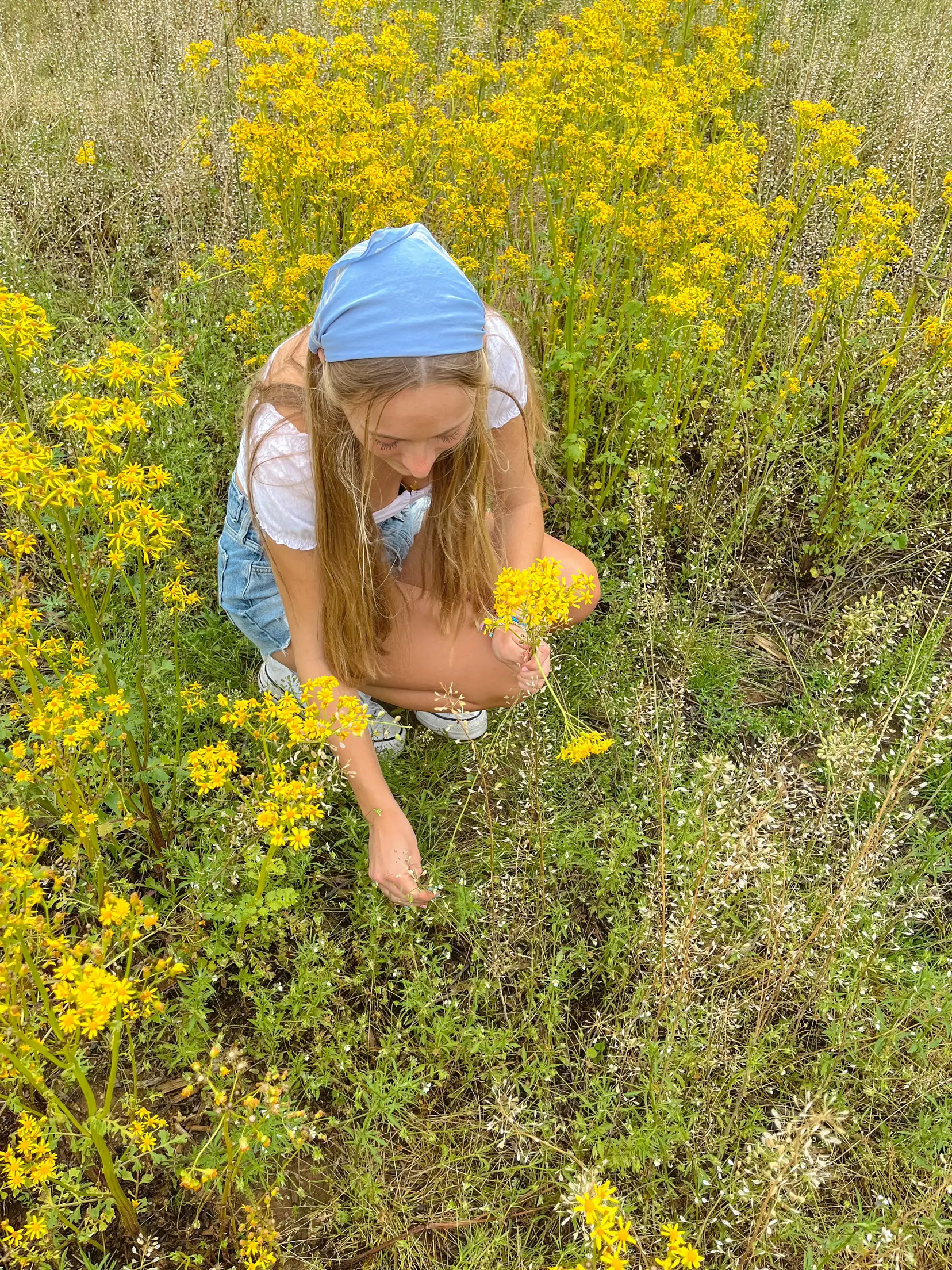 Bright flowers for a gloomy day 🌧️🌼💛🌱 | Gallery posted by Pey | Lemon8