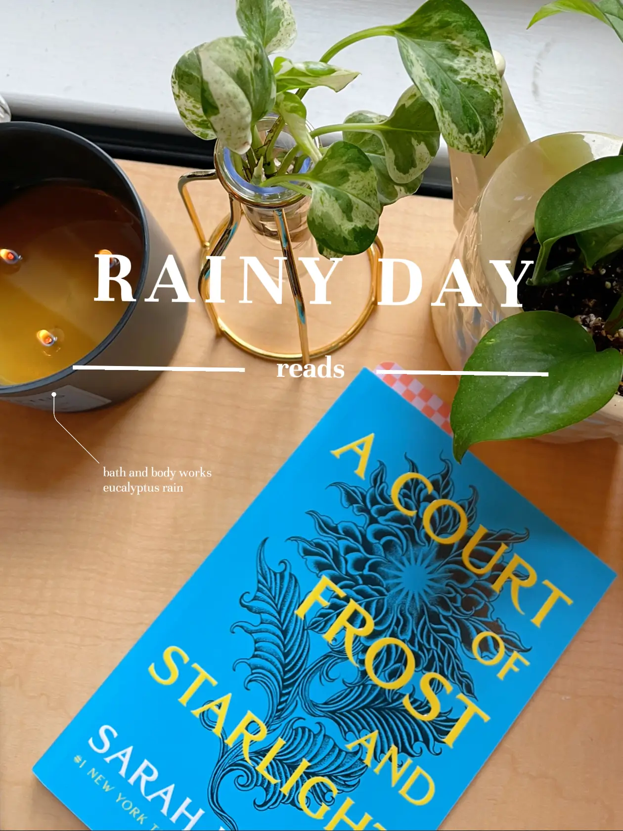 currently reading: a court of frost and starlight | Gallery posted by ally | Lemon8