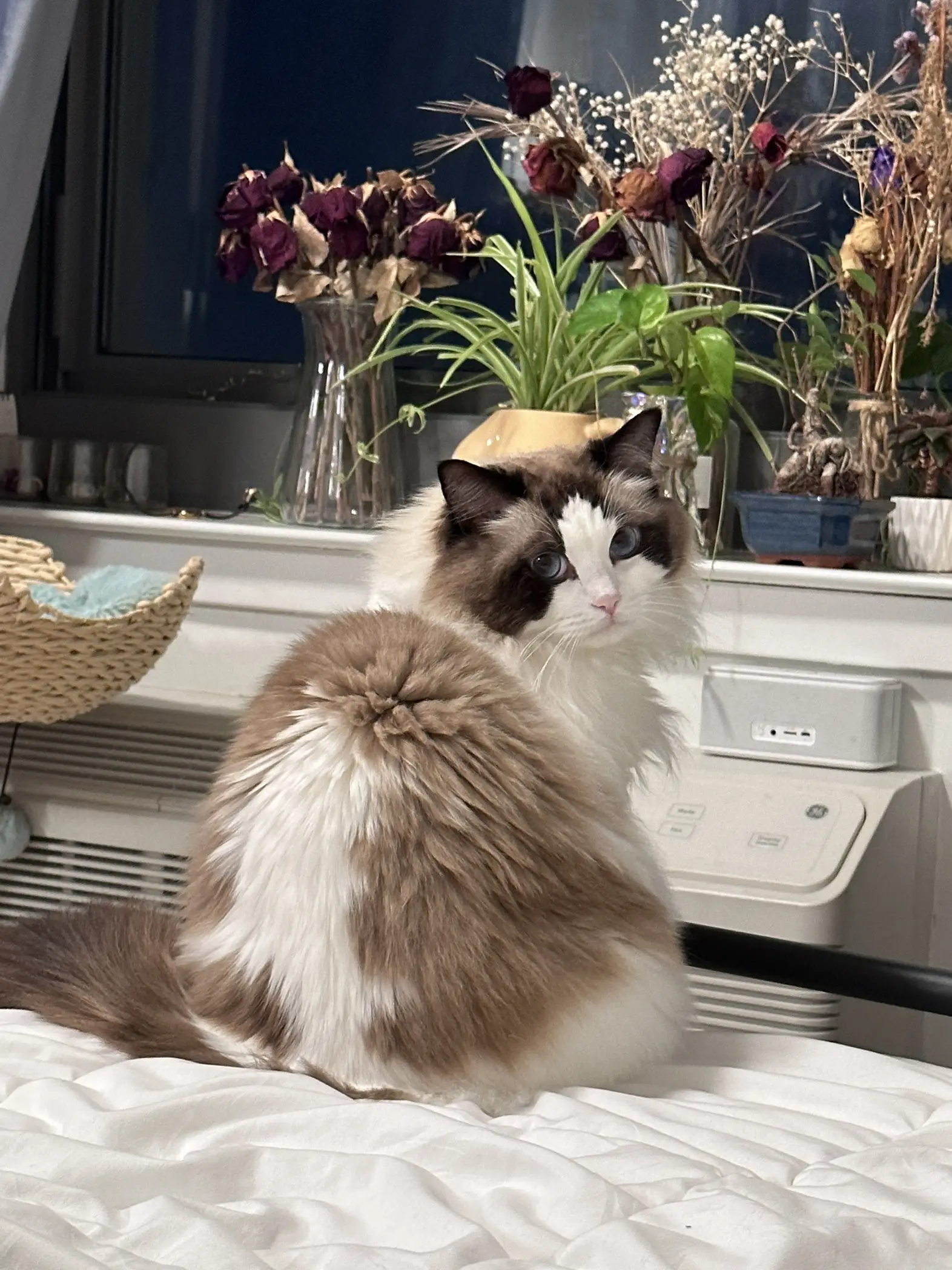 Turn on the AC, please 🌬️ | แกลเลอรีที่โพสต์โดย Double L. S | Lemon8