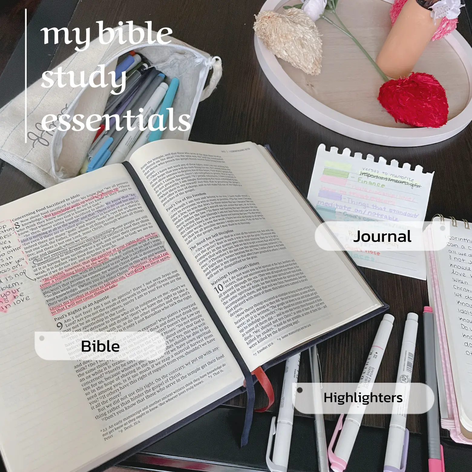 What I Use to Bible Study | Gallery posted by Victoria Readss | Lemon8