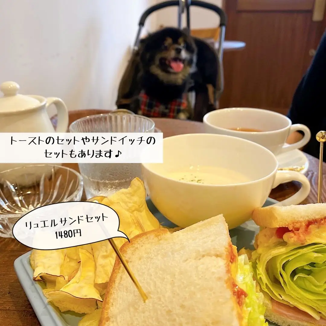 Parfait Druel 】 A parfait shop in Osu | Gallery posted by 東海わんこスポット ...