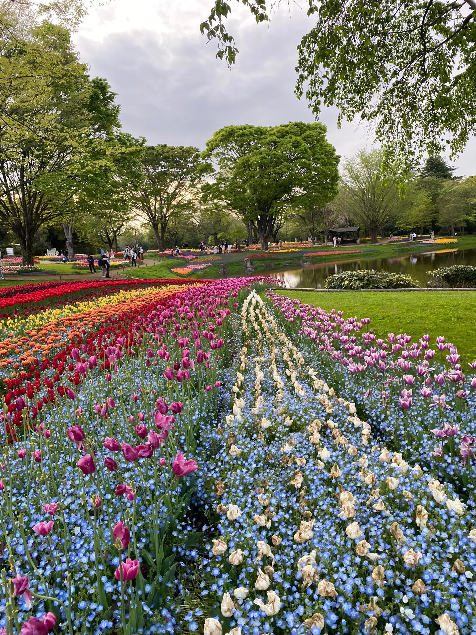GWのデートに！昭和記念公園🌿🌷 | グルメ女子が投稿したフォトブック | Lemon8