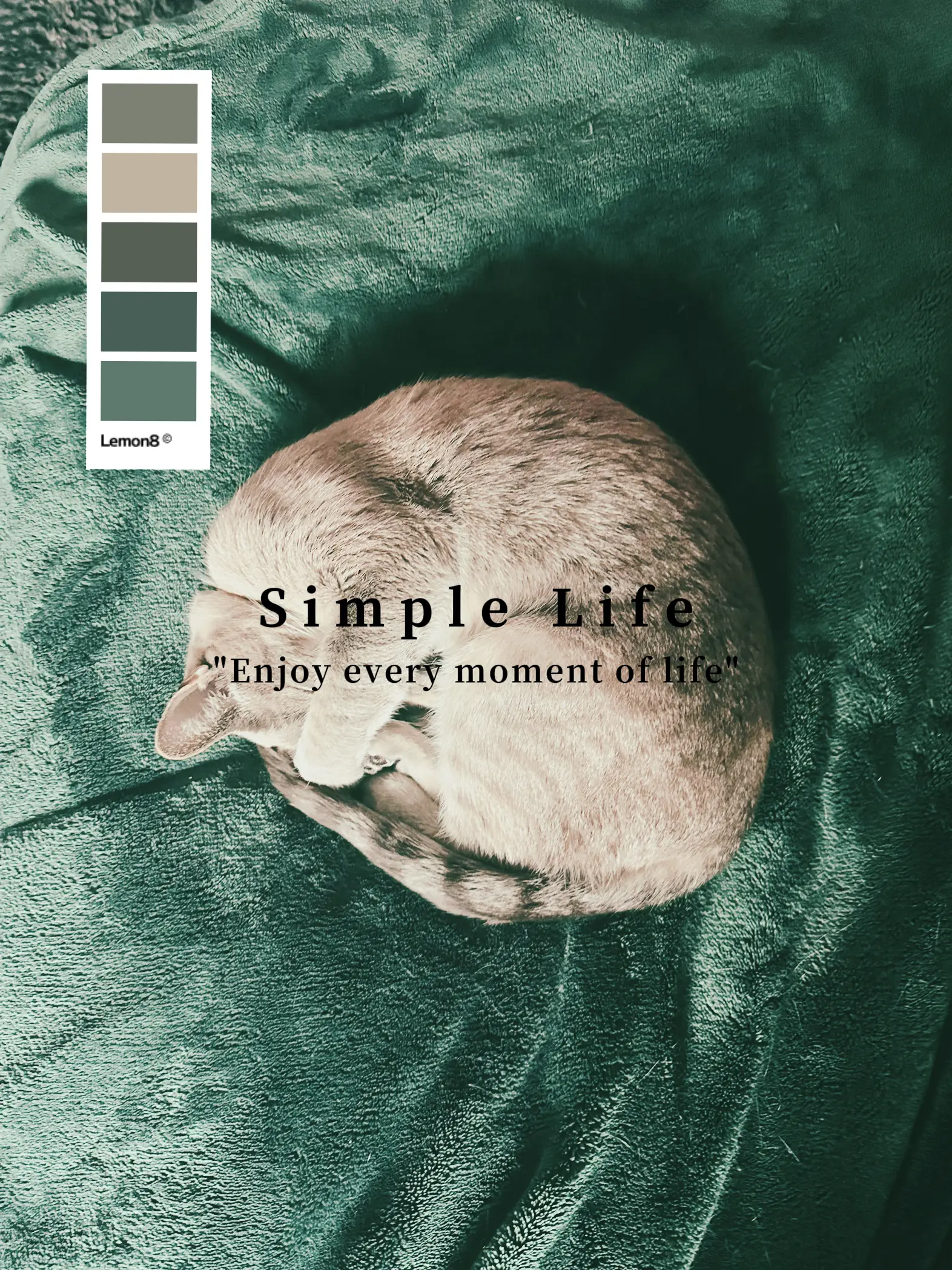 simple life.. | แกลเลอรีที่โพสต์โดย kasia🥀 | Lemon8
