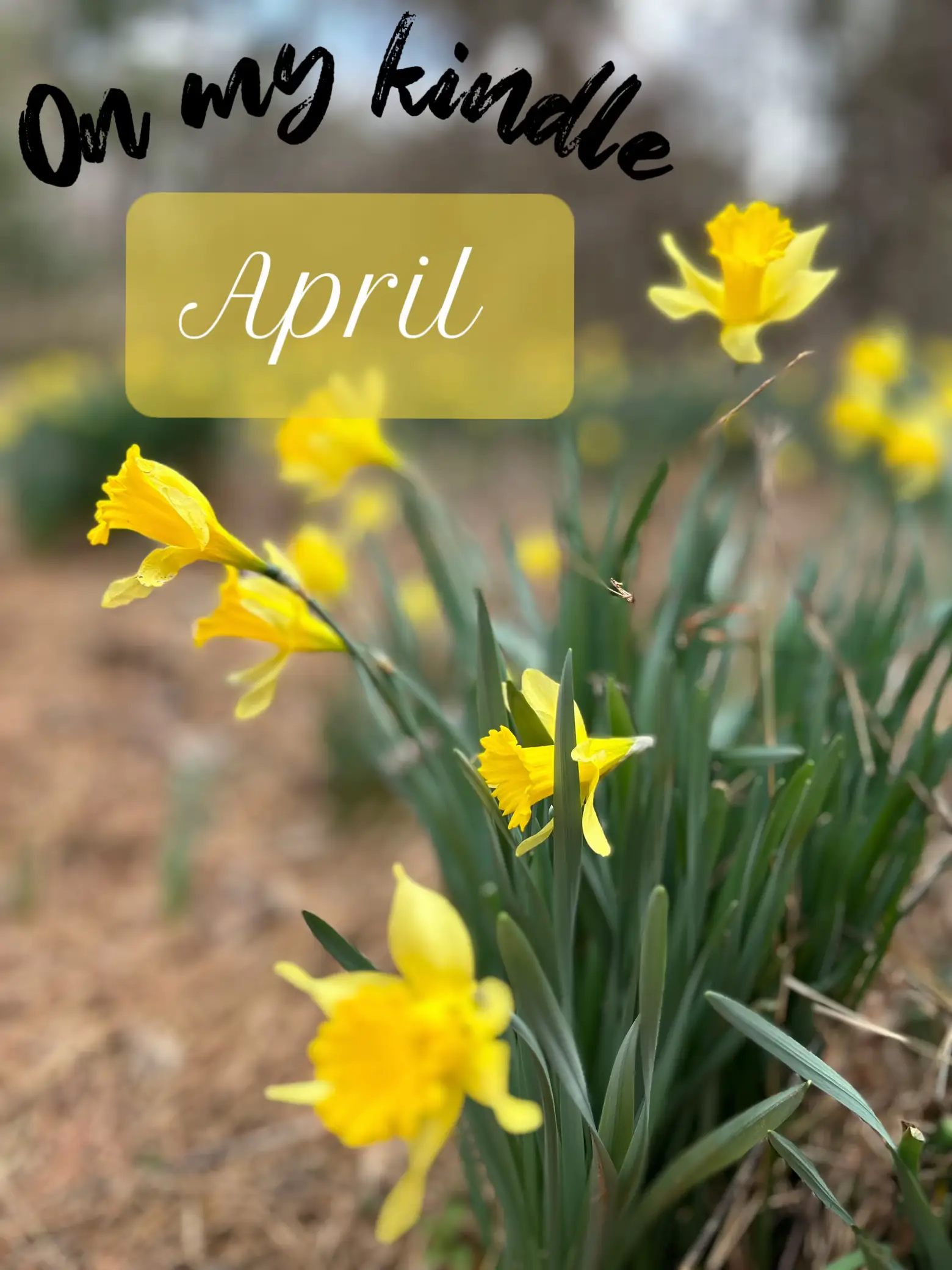 jeanneboyle posted a contribut | Gallery posted by Jeanne Boyle | Lemon8