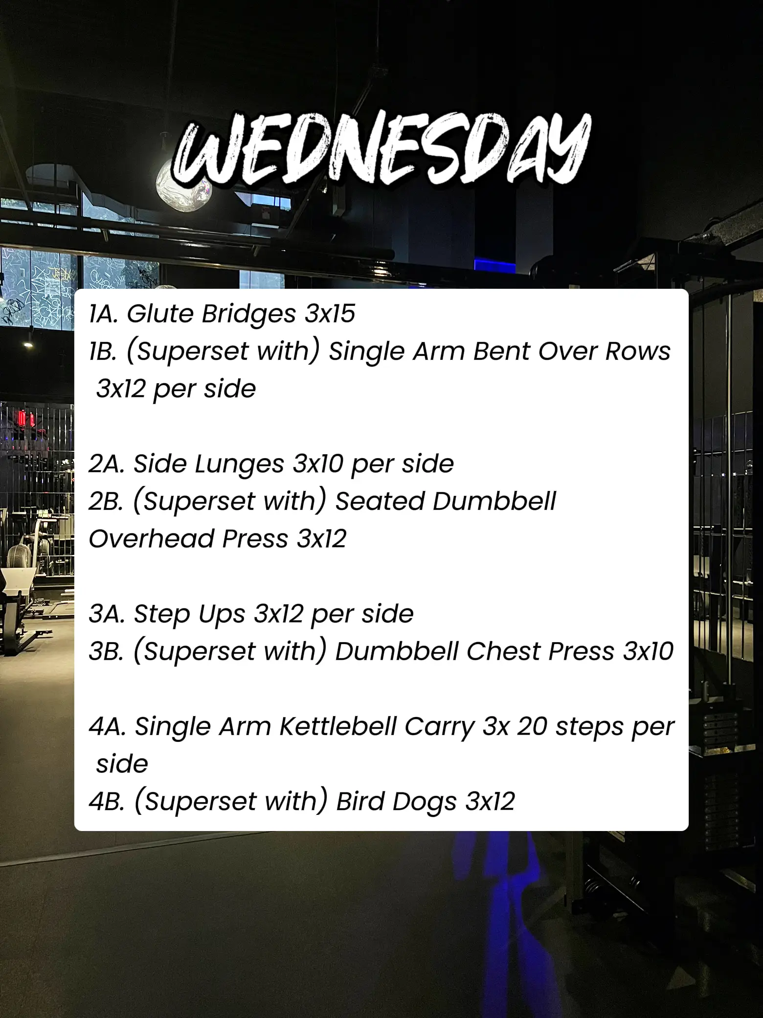 Beginner Strength Workout Routine🏋️‍♀️ | Gallery posted by Megan Snyder ...