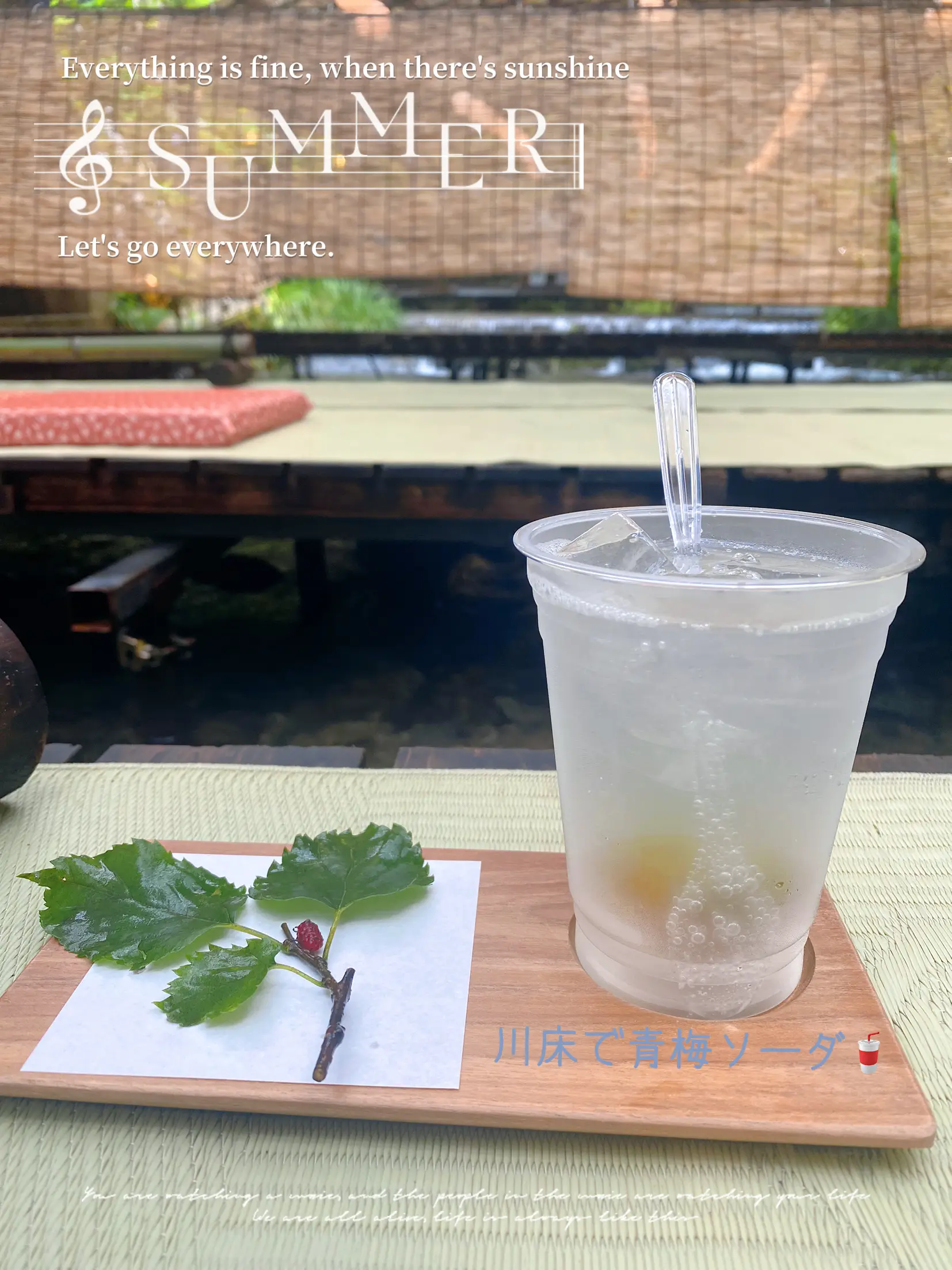 京都貴船📍川床でちょっと一息 | yuka_pが投稿したフォトブック | Lemon8