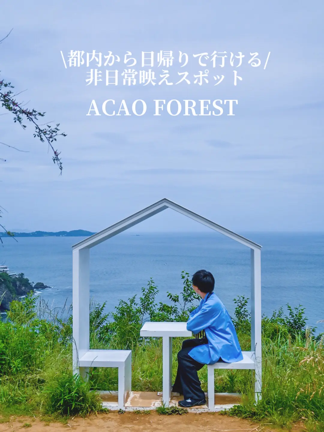 【保存必須】週末お出かけ攻略🙌！都内から日帰りで行ける非日常映えスポット ACAO FOREST | Noboru|アート巡り🎨が投稿した ...