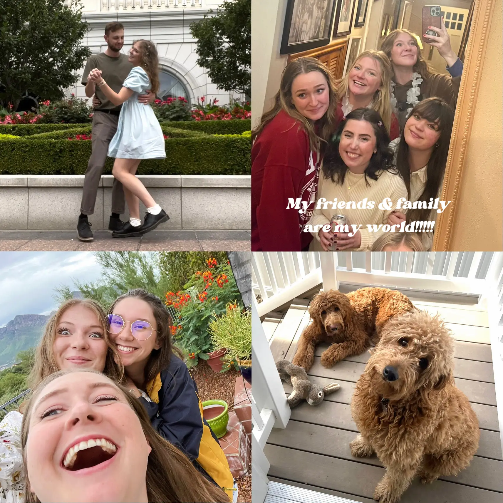 HI! I’m Hallie🌷🍊🎨 OFFICIAL INTRODUCTION! | แกลเลอรีที่โพสต์โดย hallie⋆ ...