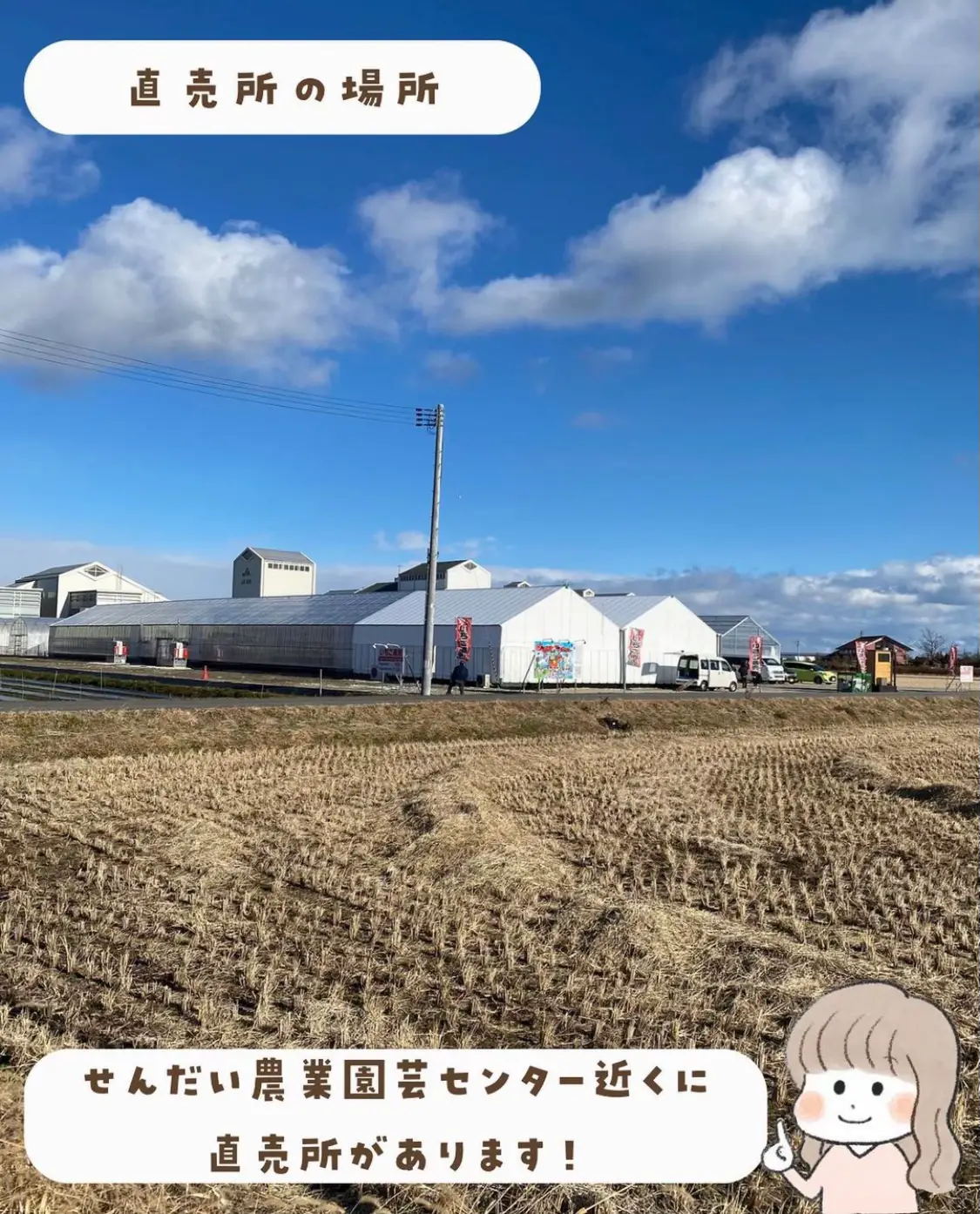 New store in Sendai! Punks Farmer🍓 | Gallery posted by 仙台ママグラム | Lemon8