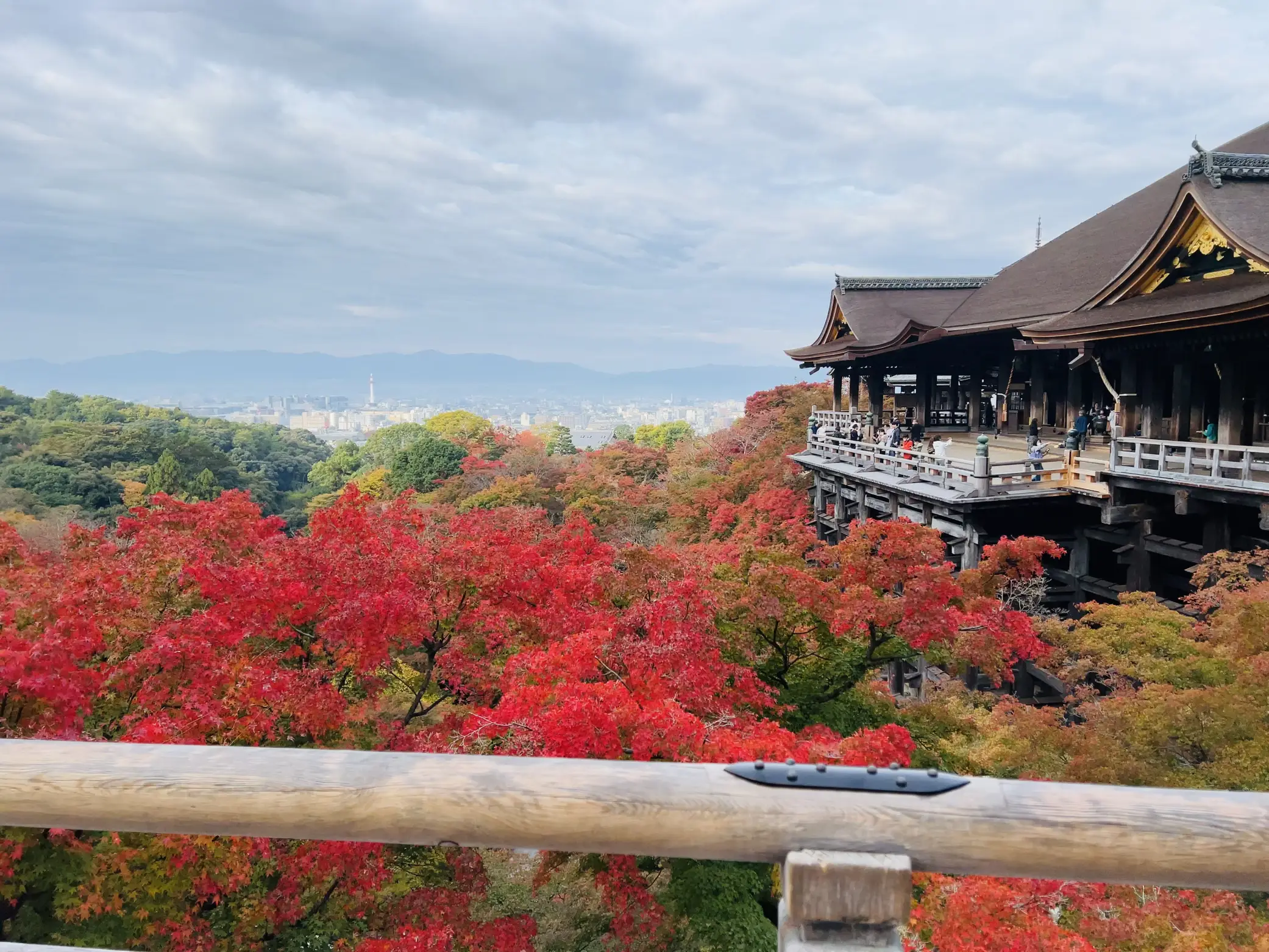 วัด Kiyomizu-dera ในฤดูใบไม้ร่วง🍁 | แกลเลอรีที่โพสต์โดย RICO | Lemon8