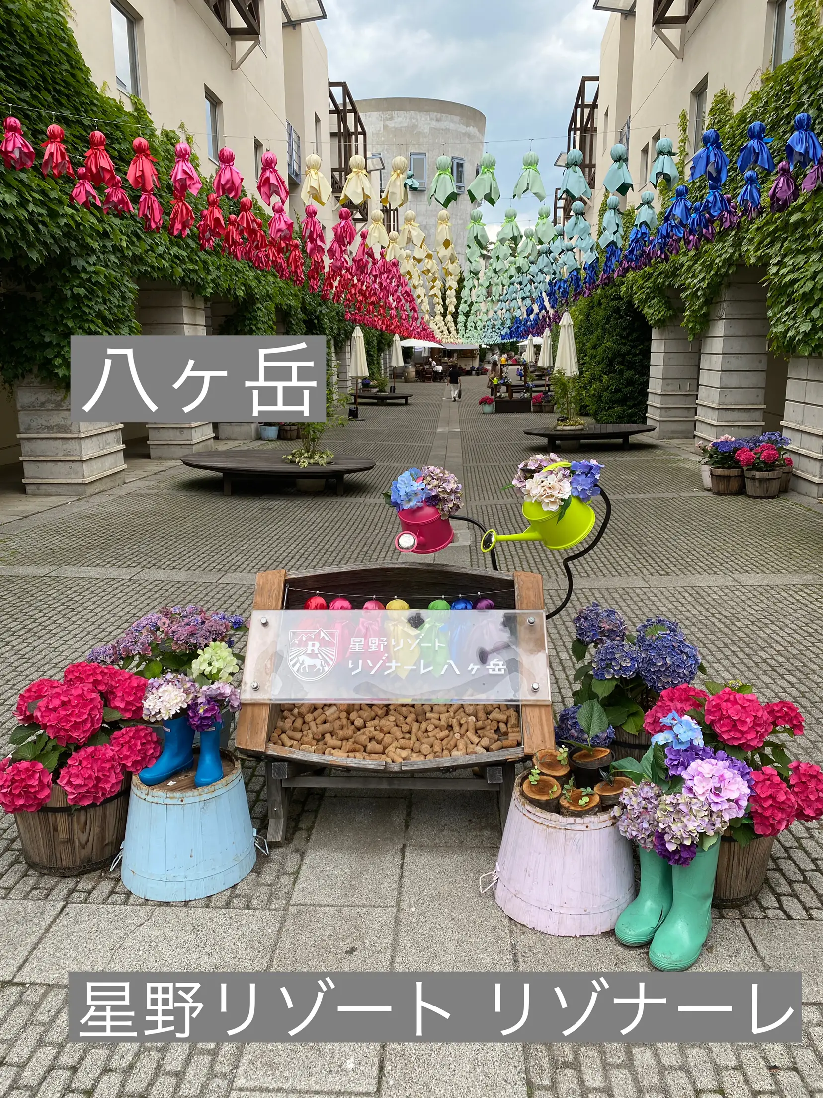 Hoshino Resorts RISONARE Yatsugatake | Gallery posted by hiro.oshima13 | Lemon8